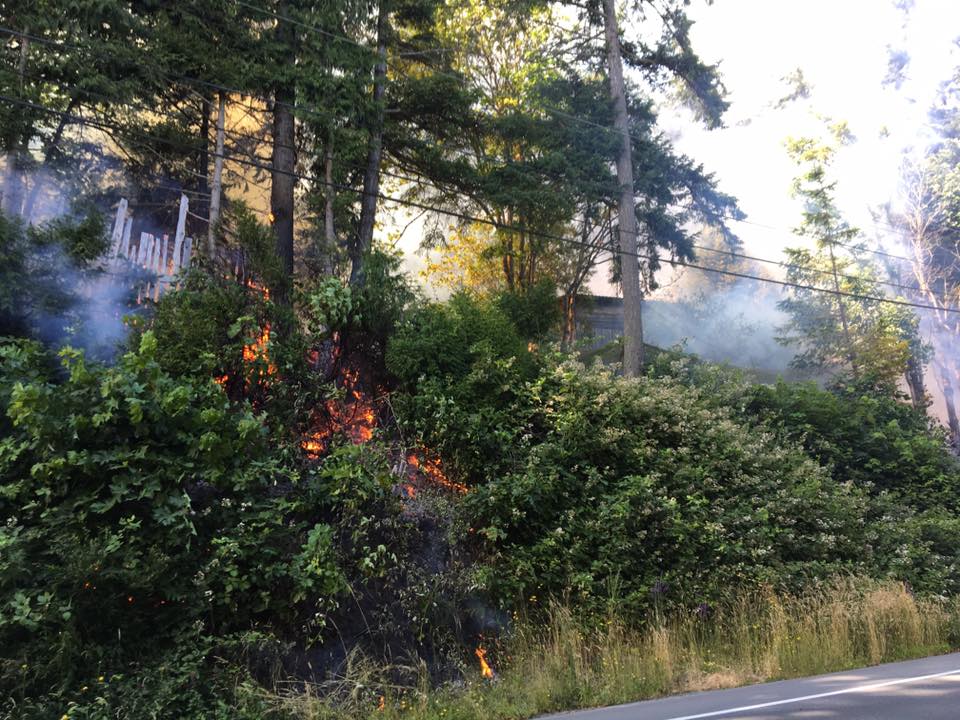 Metchosin Fire Department Chief posts photos of crews fighting Sooke ...