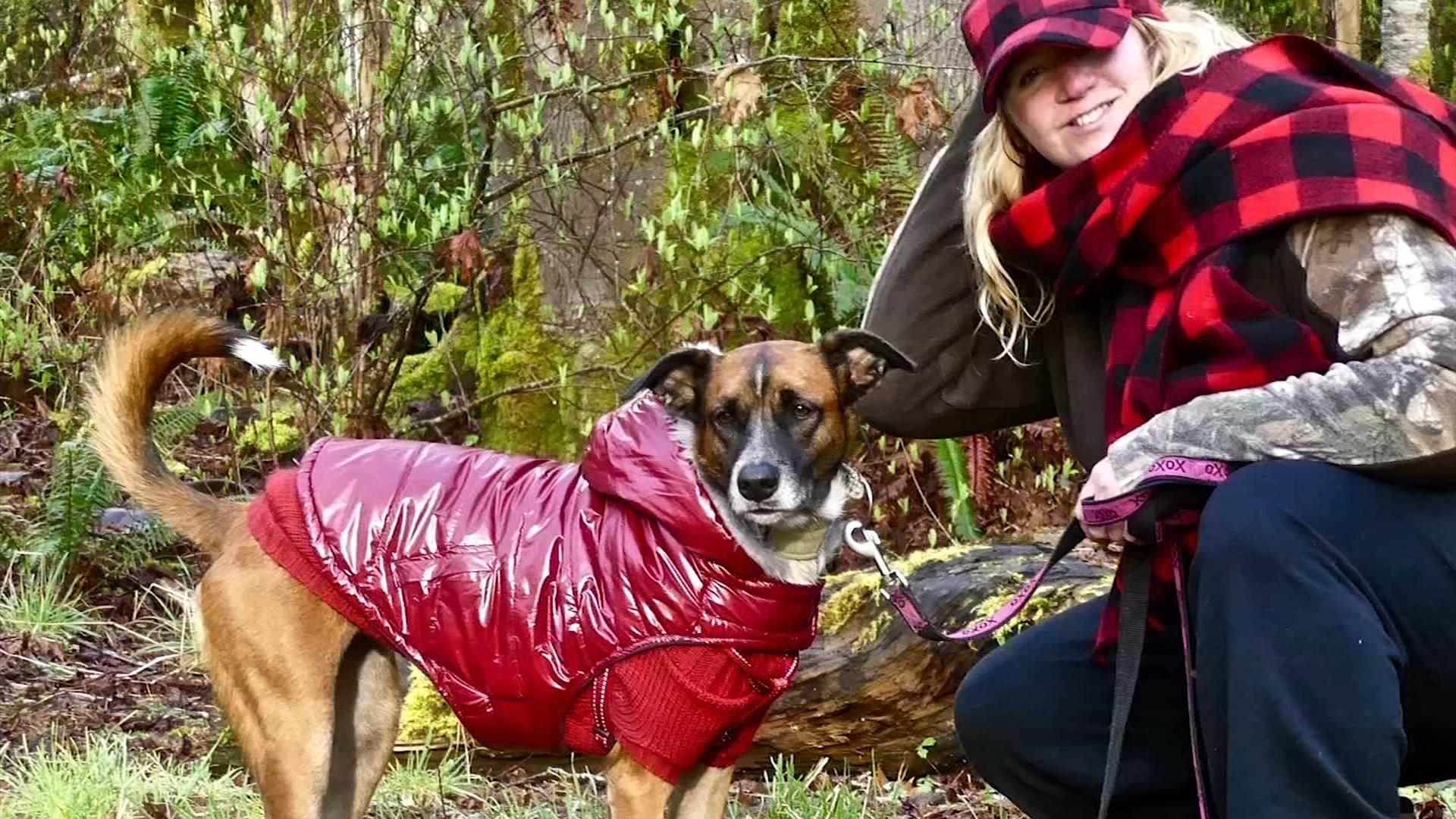 Meet Ruby! Rescued Aruba street dog loves her new home in Sooke and is ...