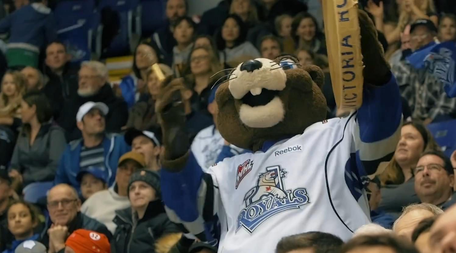Excitement builds as Victoria Royals prepare for Game 7
