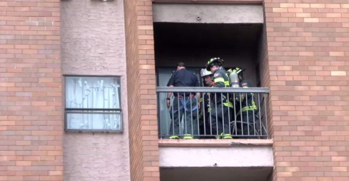 Victoria firefighters rescue cat while extinguishing small balcony fire ...