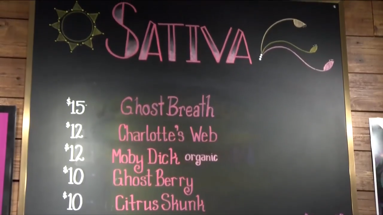 Cannabis Countdown: Marijuana 101 what you need to know