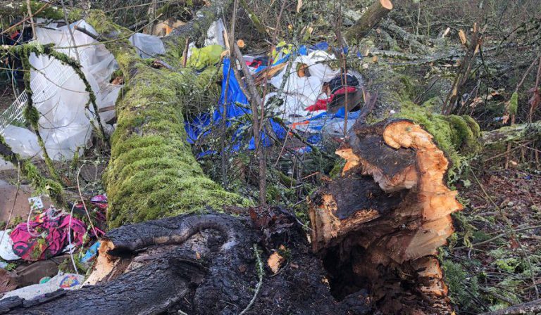 Tree falls on occupied tent, kills one and injures two in Duncan