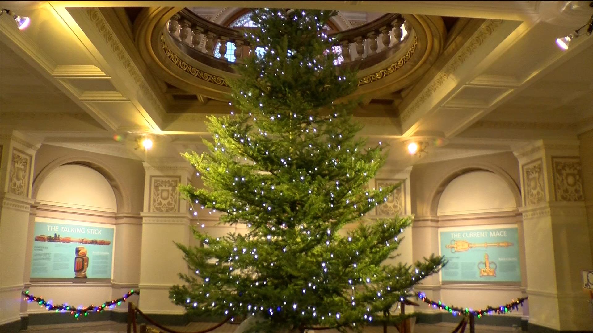 Family continues Christmas tree tradition at B.C. Legislature started ...