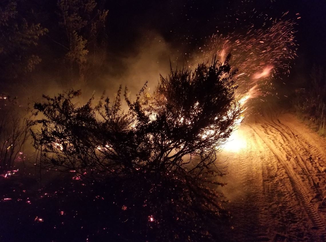 Firefighters putting out hot spots from wildfire near Campbell River