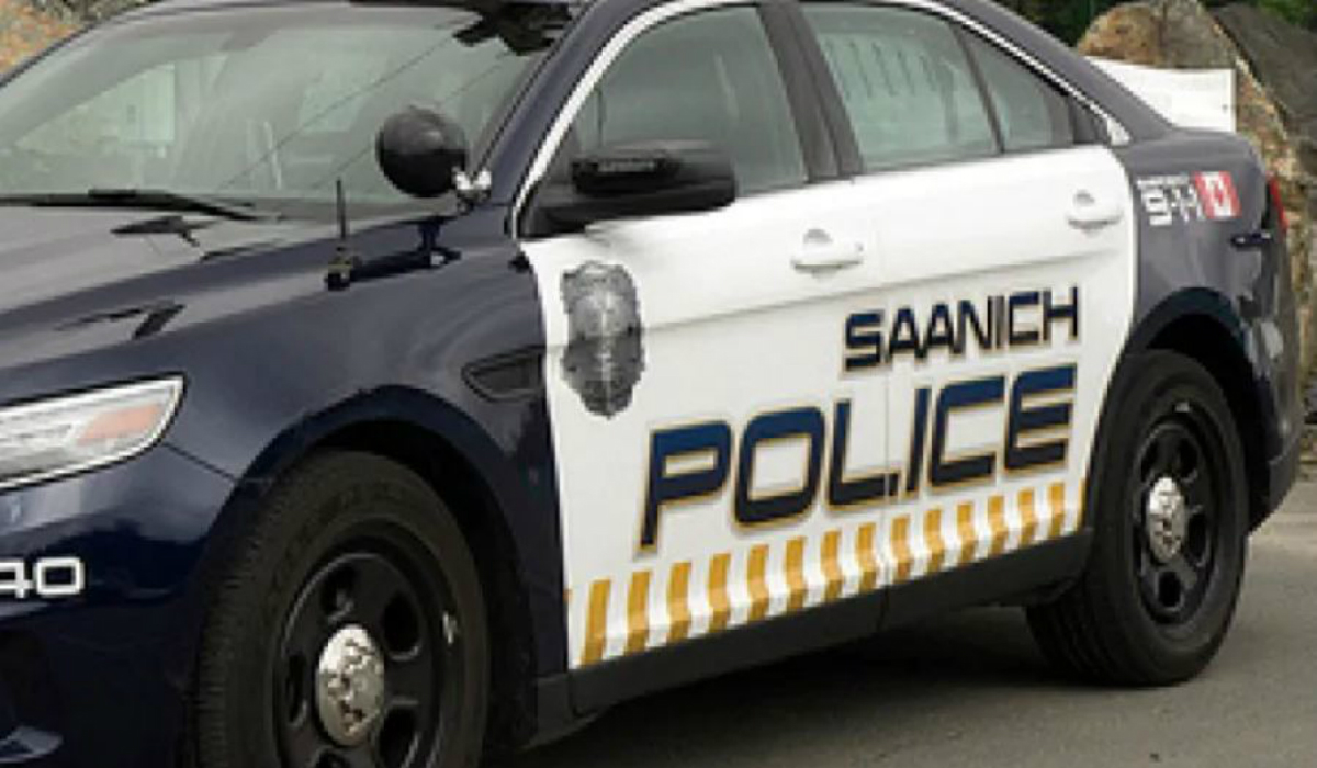 Saanich Police investigating into 'unprovoked assault' at Gyro Beach