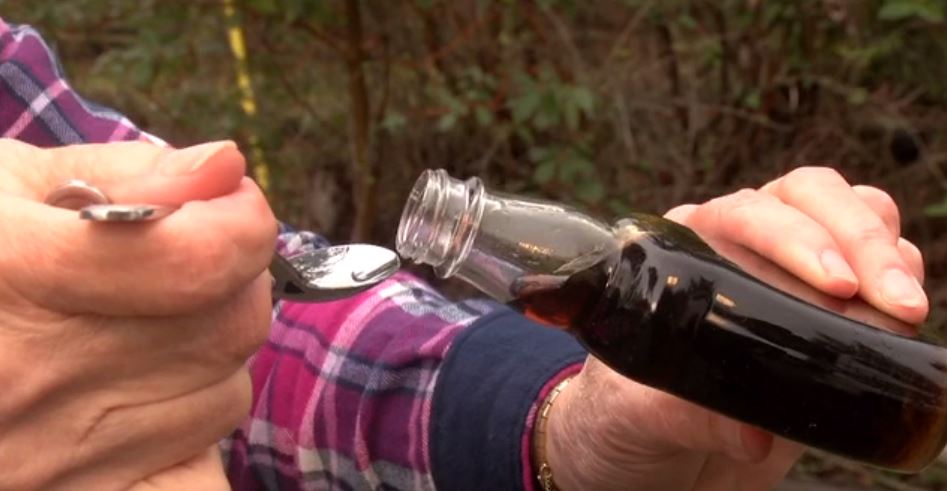 Bigleaf maple syrup is growing industry on Vancouver Island