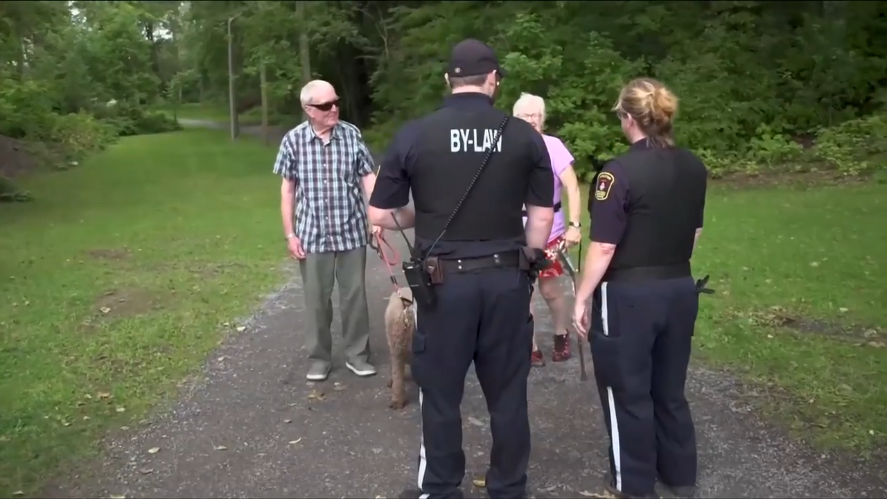 Municipal bylaw enforcement officers handed extra powers by province