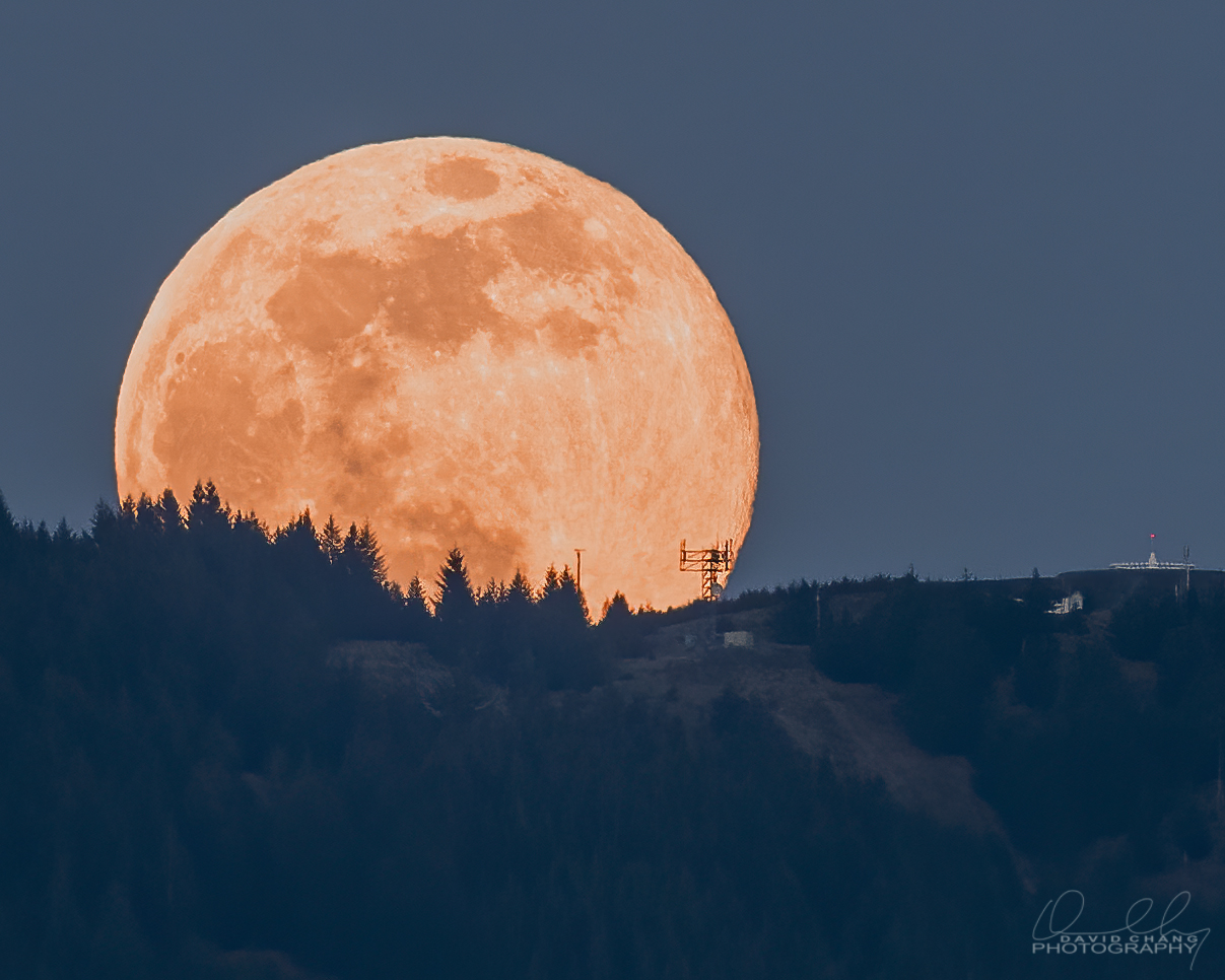 13 incredible photos of 'pink' supermoon from Vancouver Island