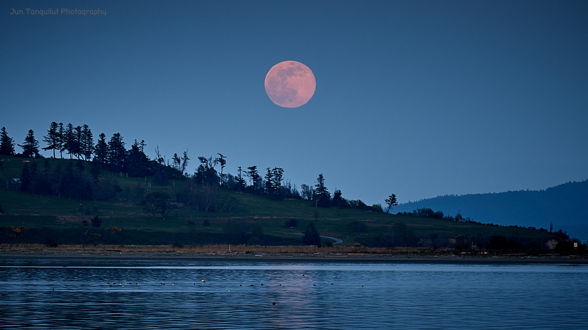 13 incredible photos of 'pink' supermoon from Vancouver Island