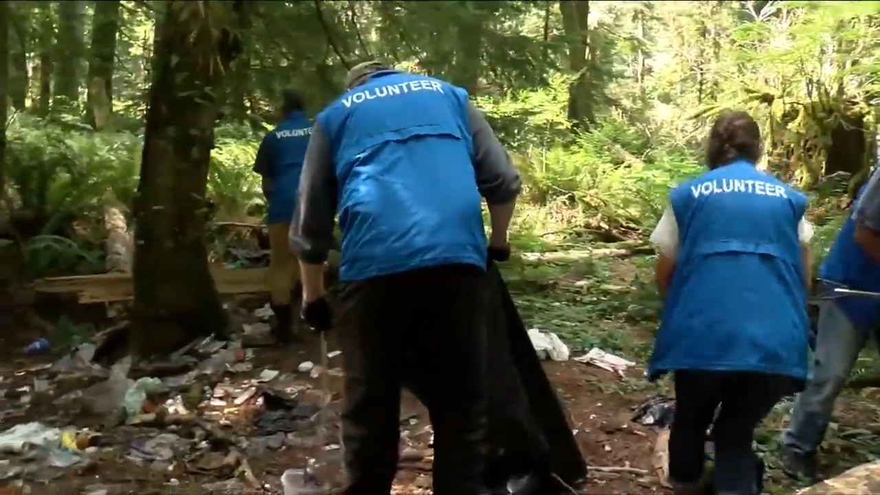 Homeless volunteers cleaning up homeless camps in Campbell River