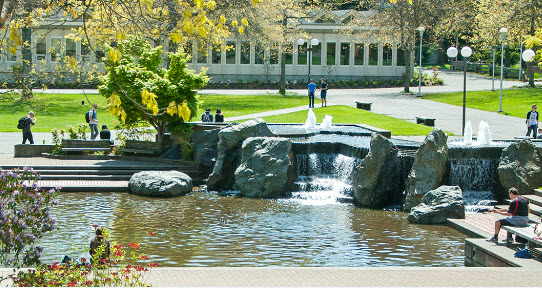 11 COVID-19 related tickets issued after people gather near UVic fountain