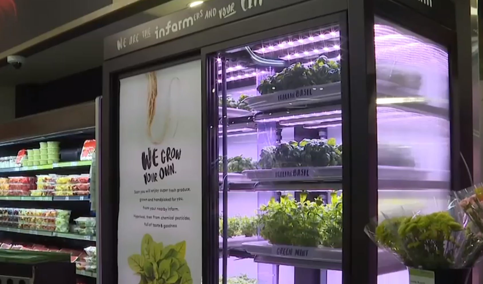 Indoor farms installed at Thrifty Foods across Vancouver Island