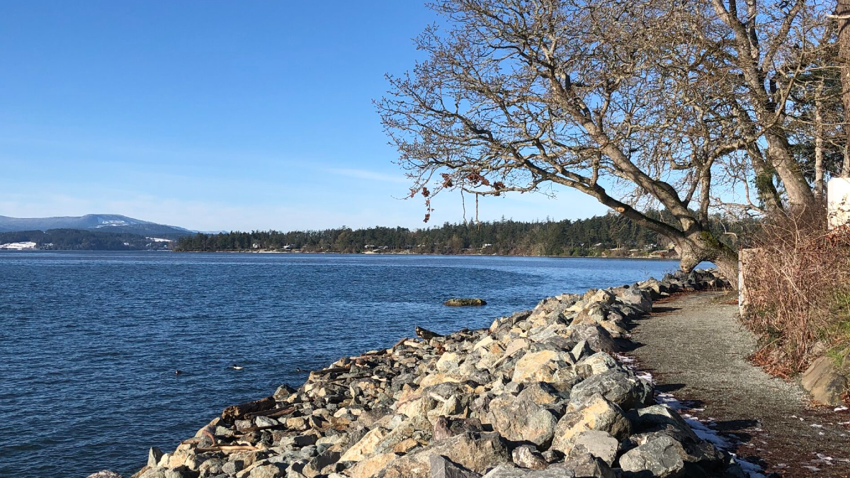 Waterfront trail in North Saanich reopens following restoration work