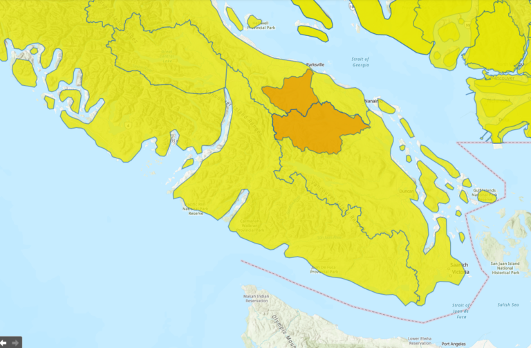 Rainfall warnings, flood watch issued for parts of Vancouver Island