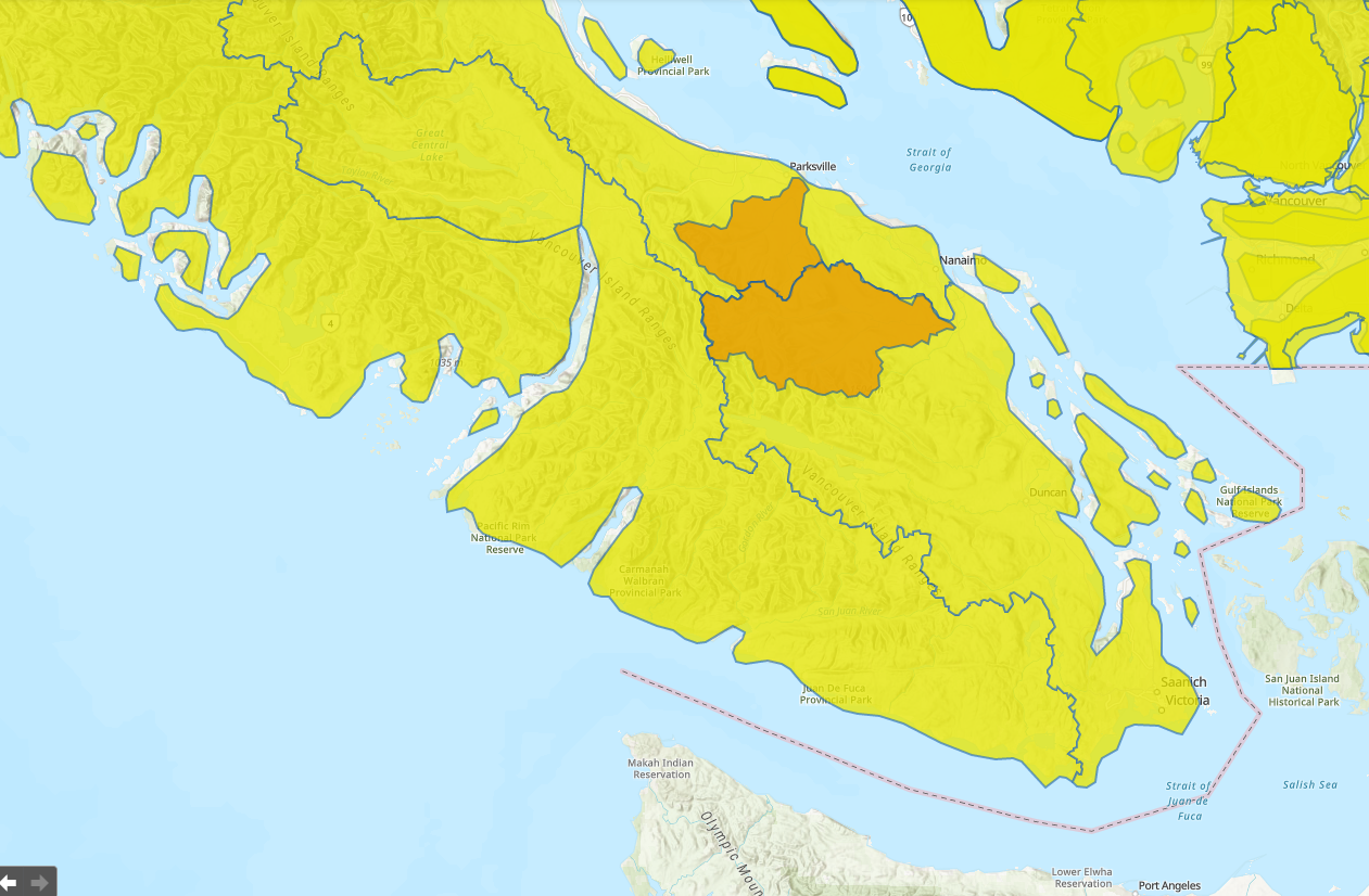 Rainfall warnings, flood watch issued for parts of Vancouver Island