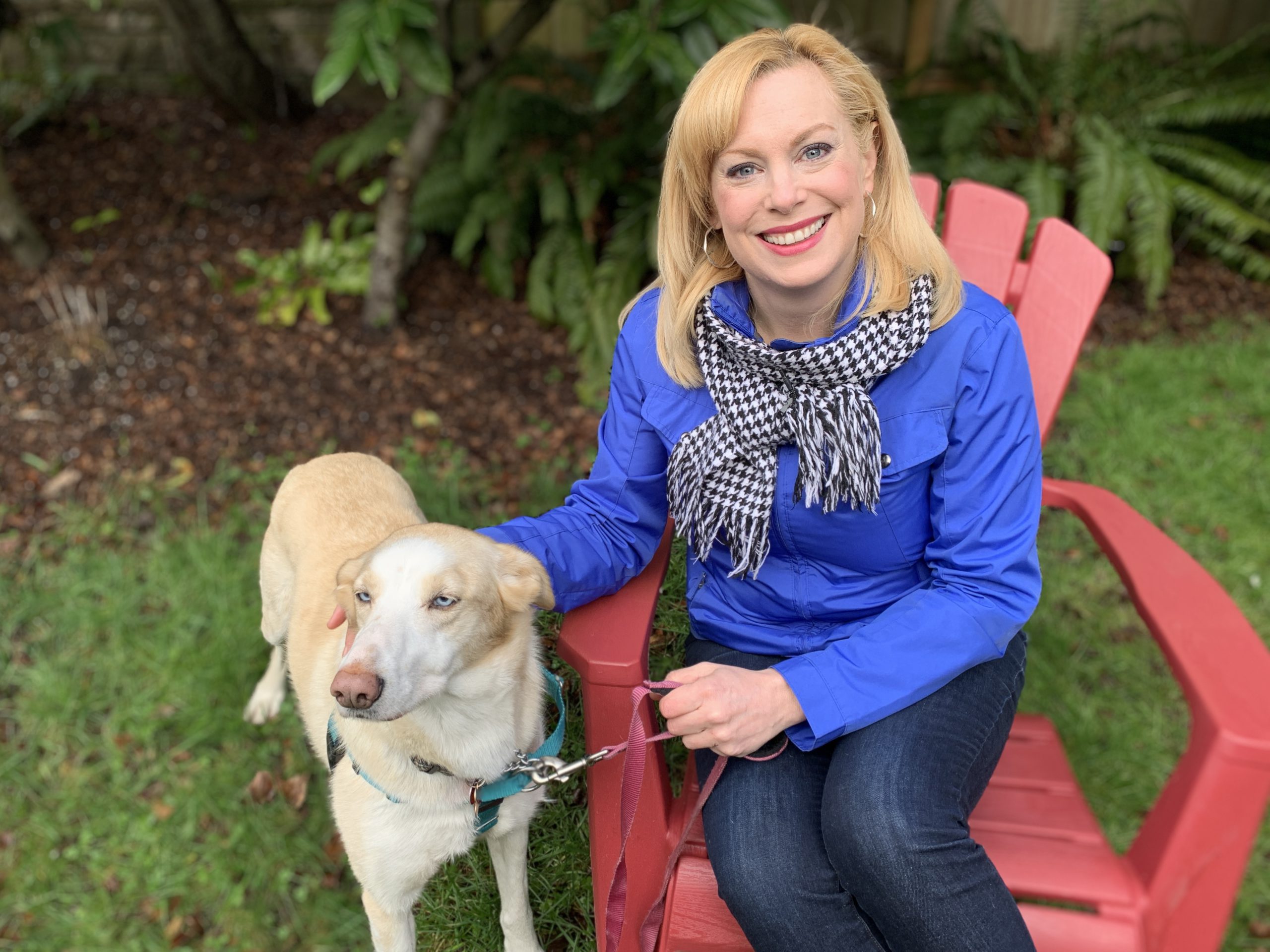 Pet CHEK: Retired sled dog Kerri needs a forever home