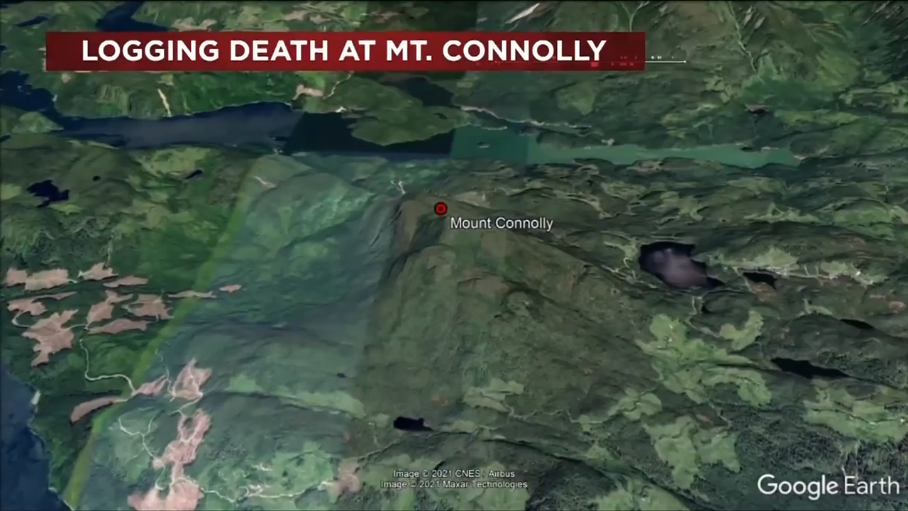 Comox man dies in logging accident near Port McNeill