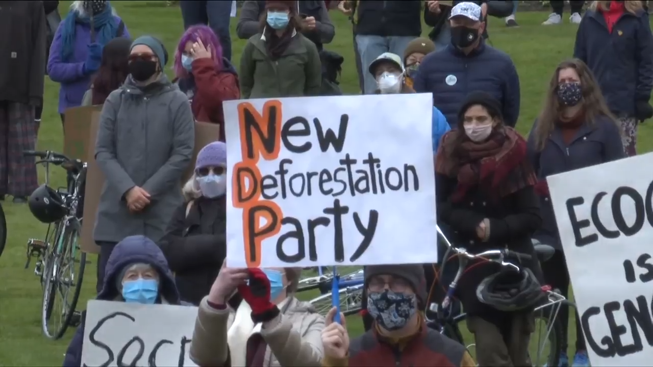 Hundreds gather to protest old-growth logging, forestry industry ...
