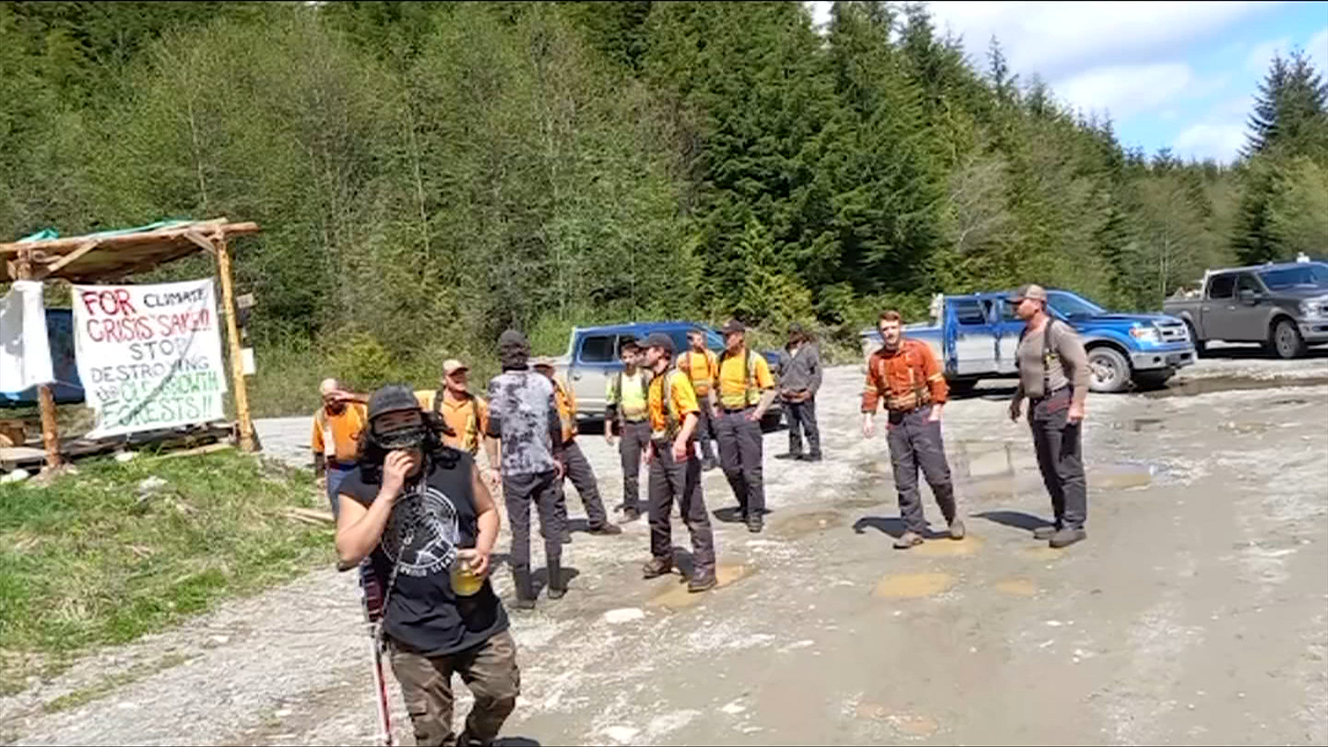 Video captures altercation between loggers and activists
