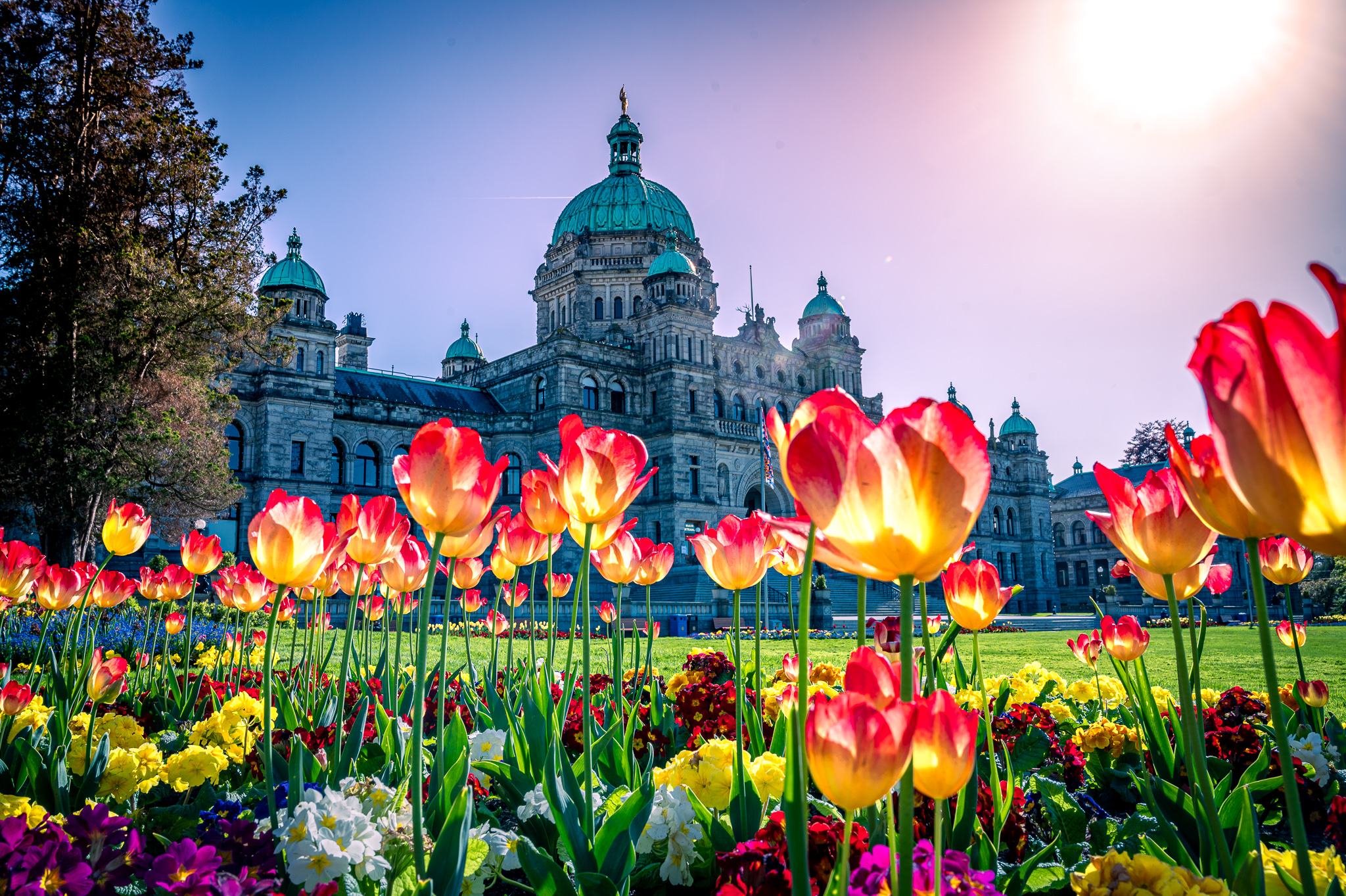 Songhees and Esquimalt First Nations to hold Canoe Protocol, drum ...