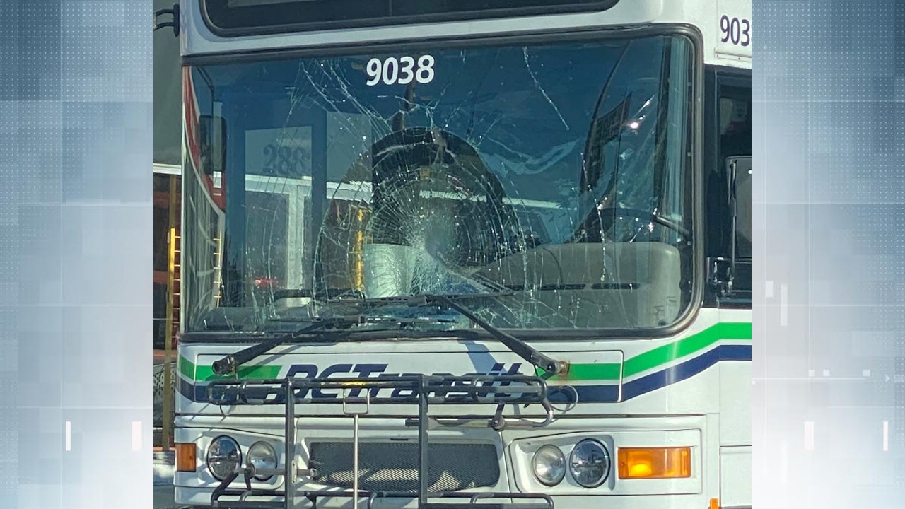Transit bus hits pedestrian in Victoria