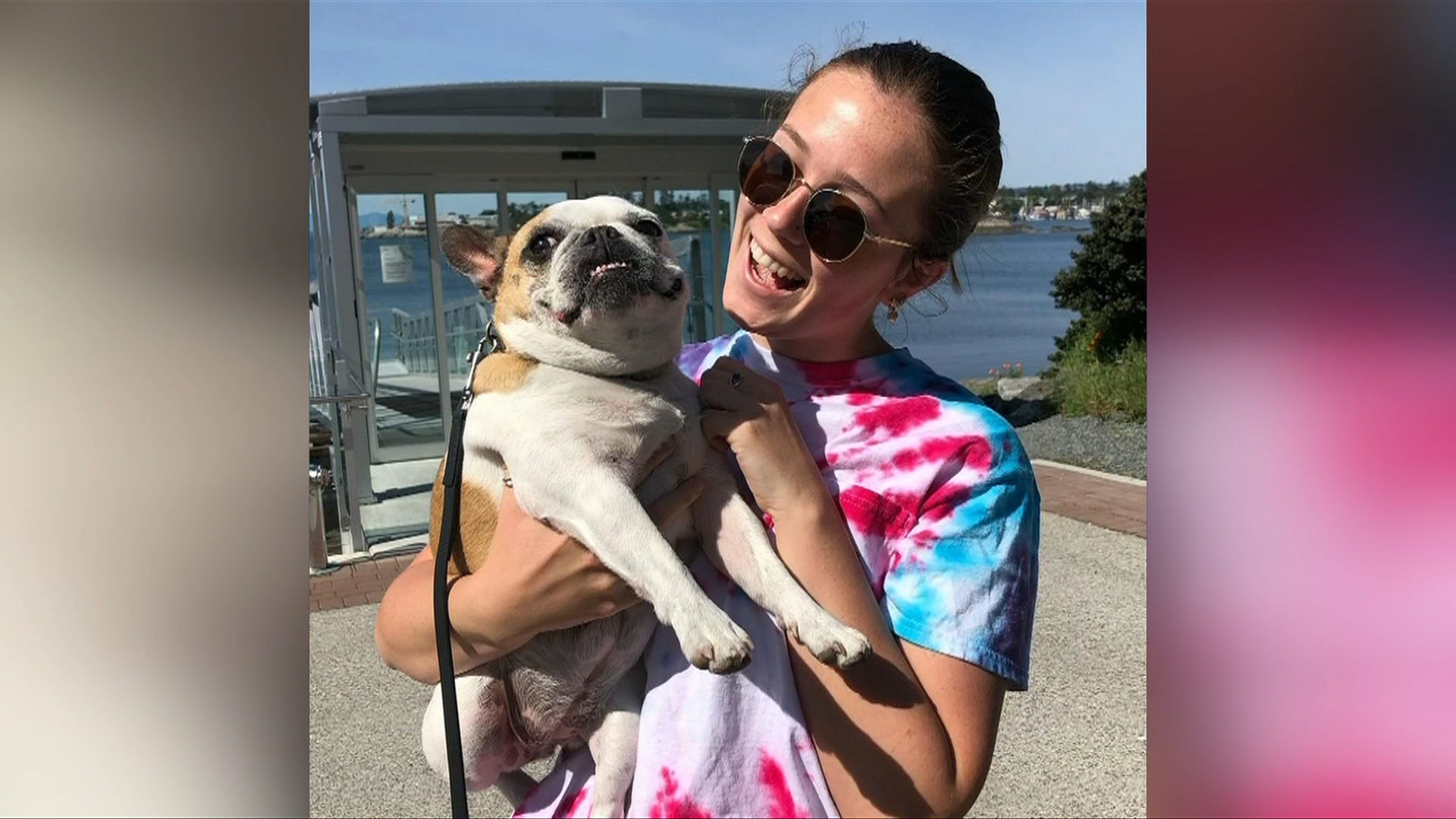 CHEK Upside: Instagram account featuring Victoria dogs spreading smiles CHEK Upside: Instagram account featuring Victoria dogs spreading smiles