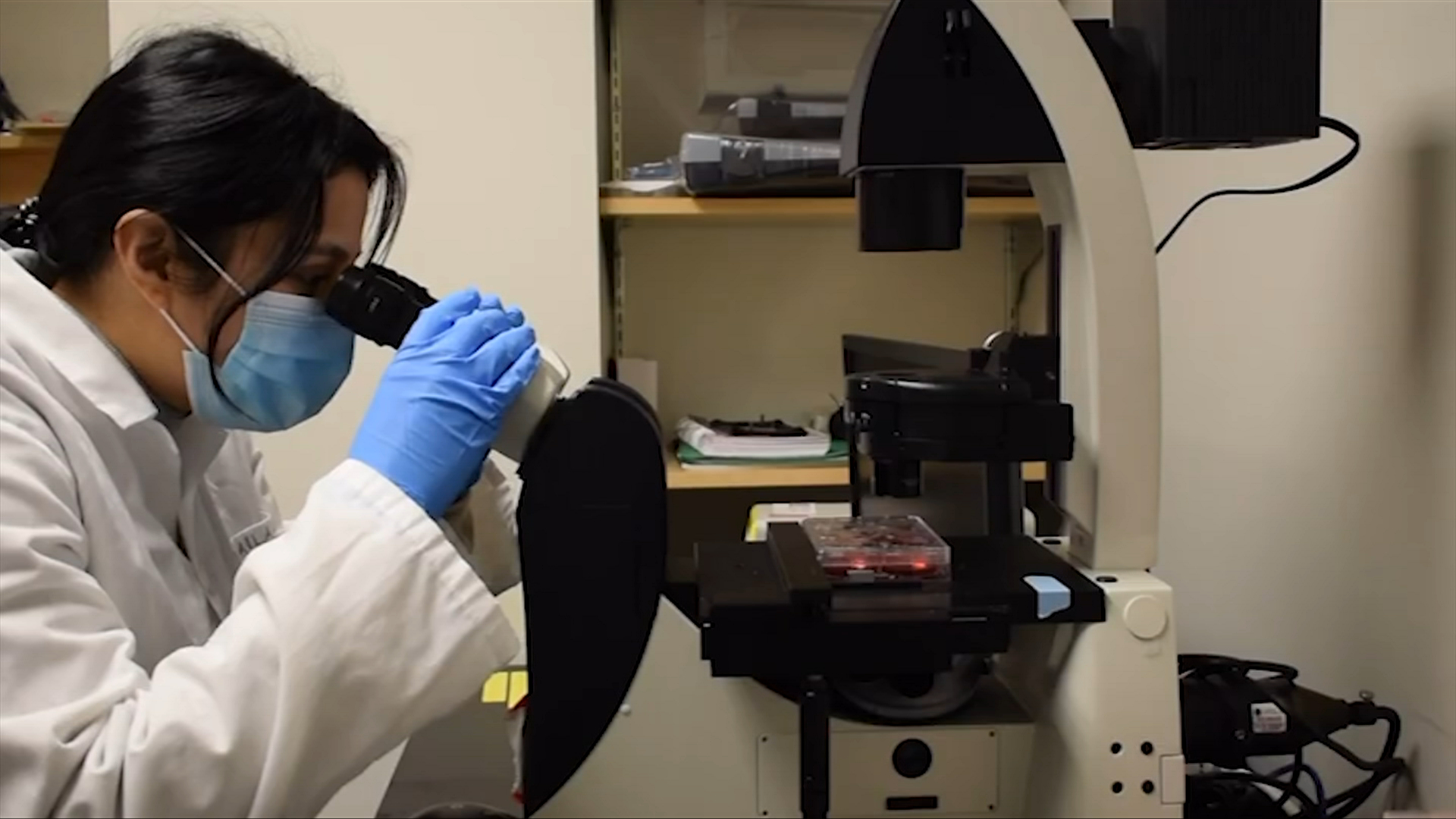 UVic professors awarded provincial grant for brain tissue 3D print ...