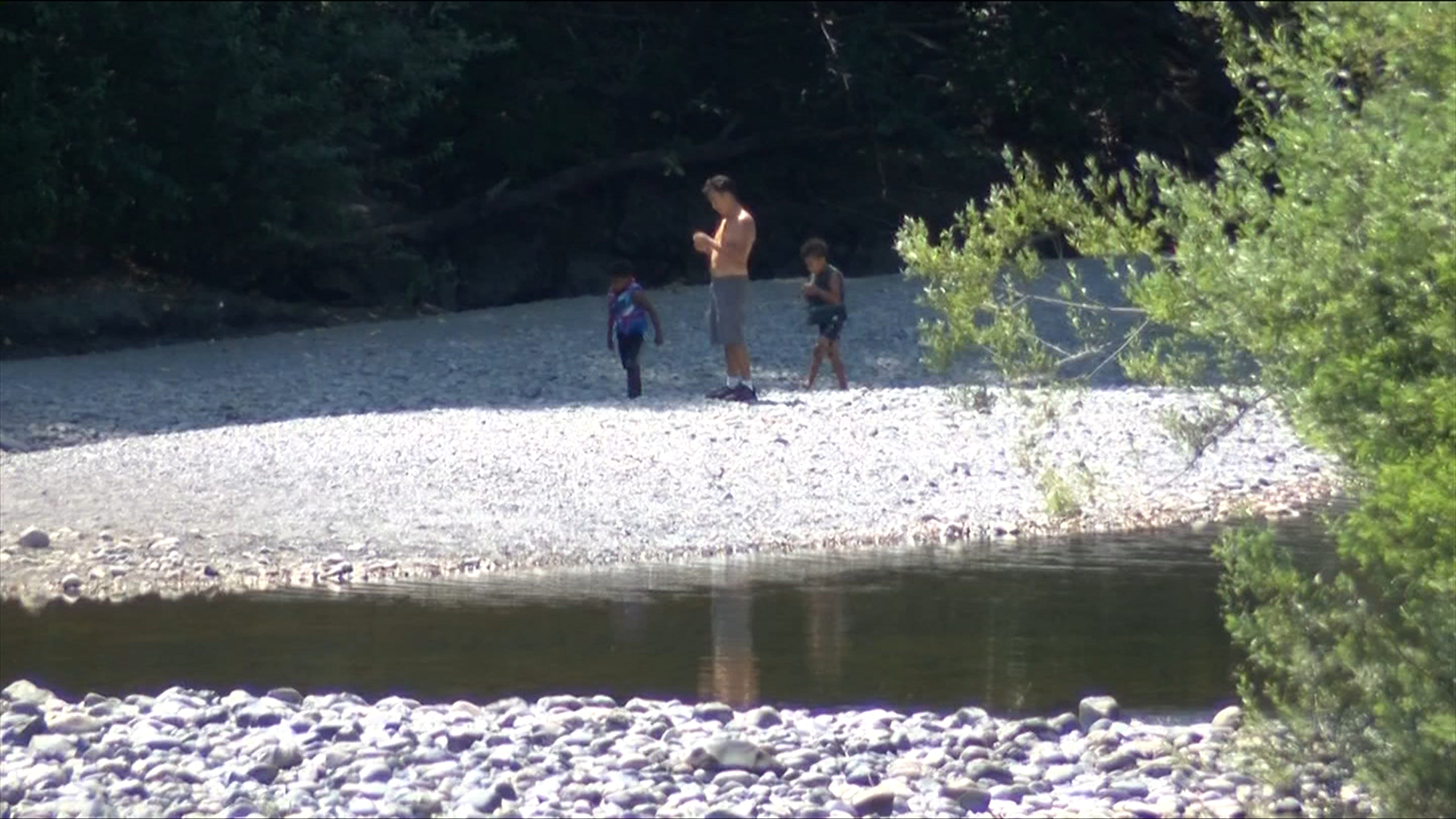 Drought drying up rivers on Vancouver Island