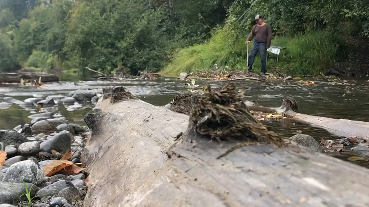 ‘We've never seen it this dry': Vancouver Island rivers are going dry ...
