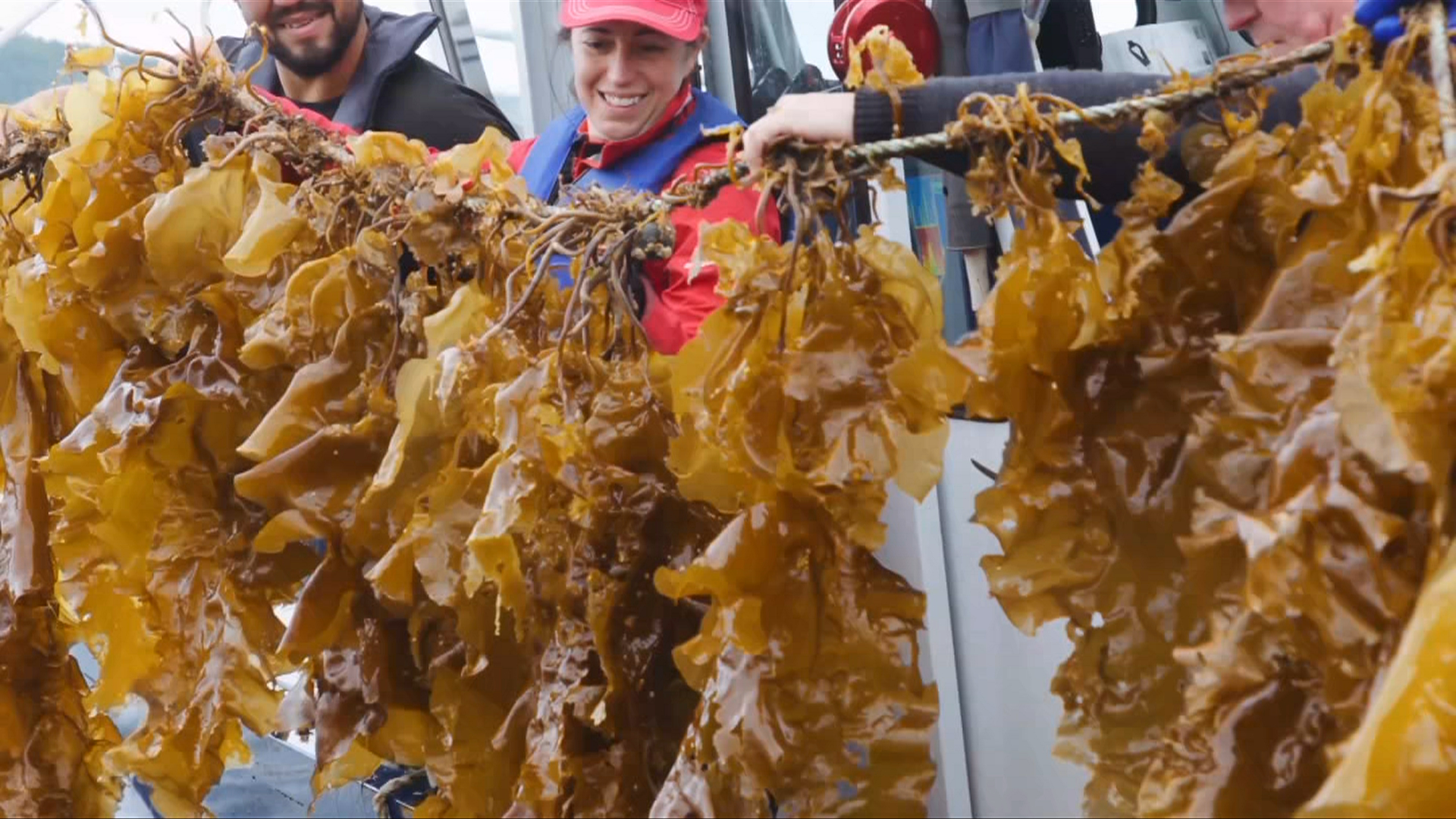 CHEK Upside: Camosun students create award-winning kelp seed launcher