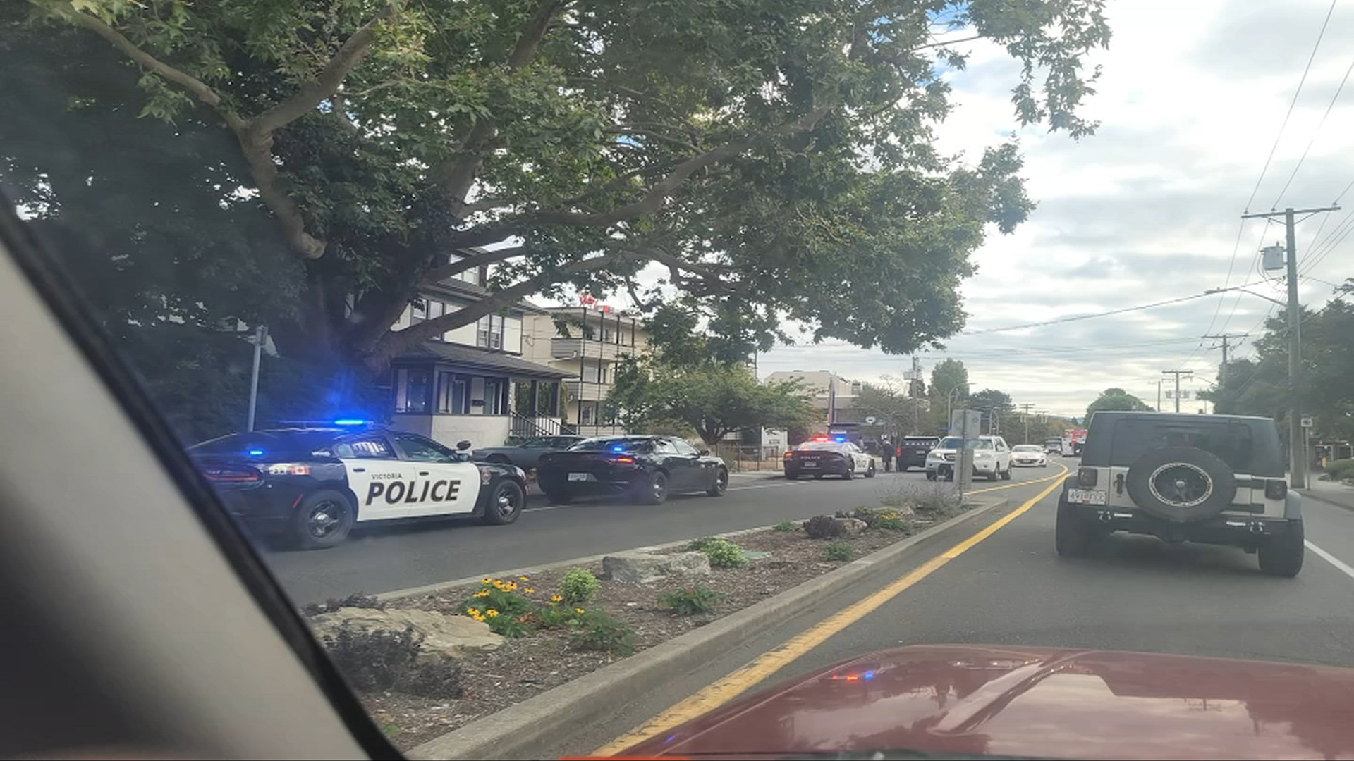 Two Victoria police officers injured in assault, VicPD vehicle collides ...