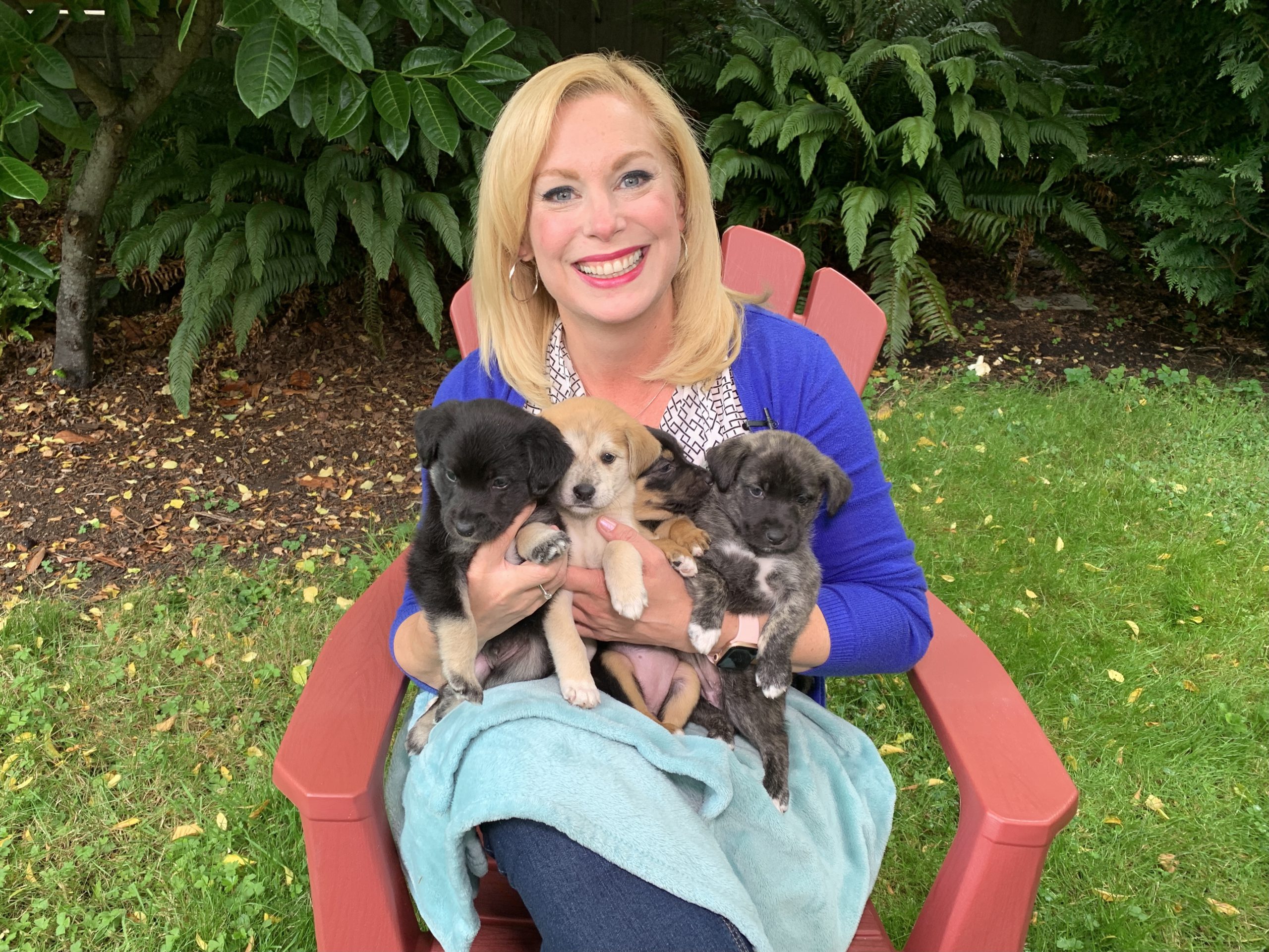 Pet CHEK: Puppy love with the adorable Seahawks Litter
