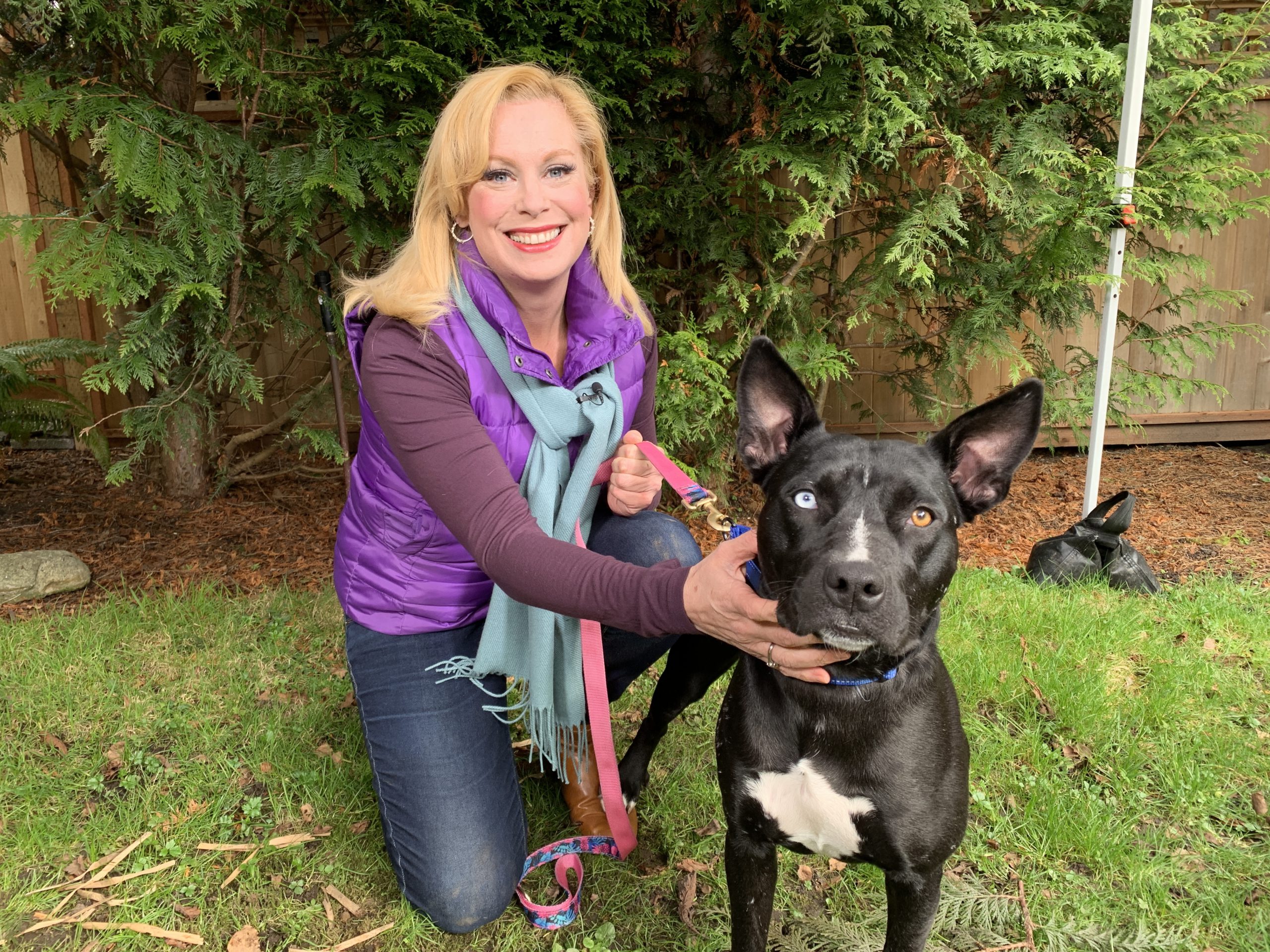 Pet CHEK: Mama dog Isla is full of love despite her tragic story