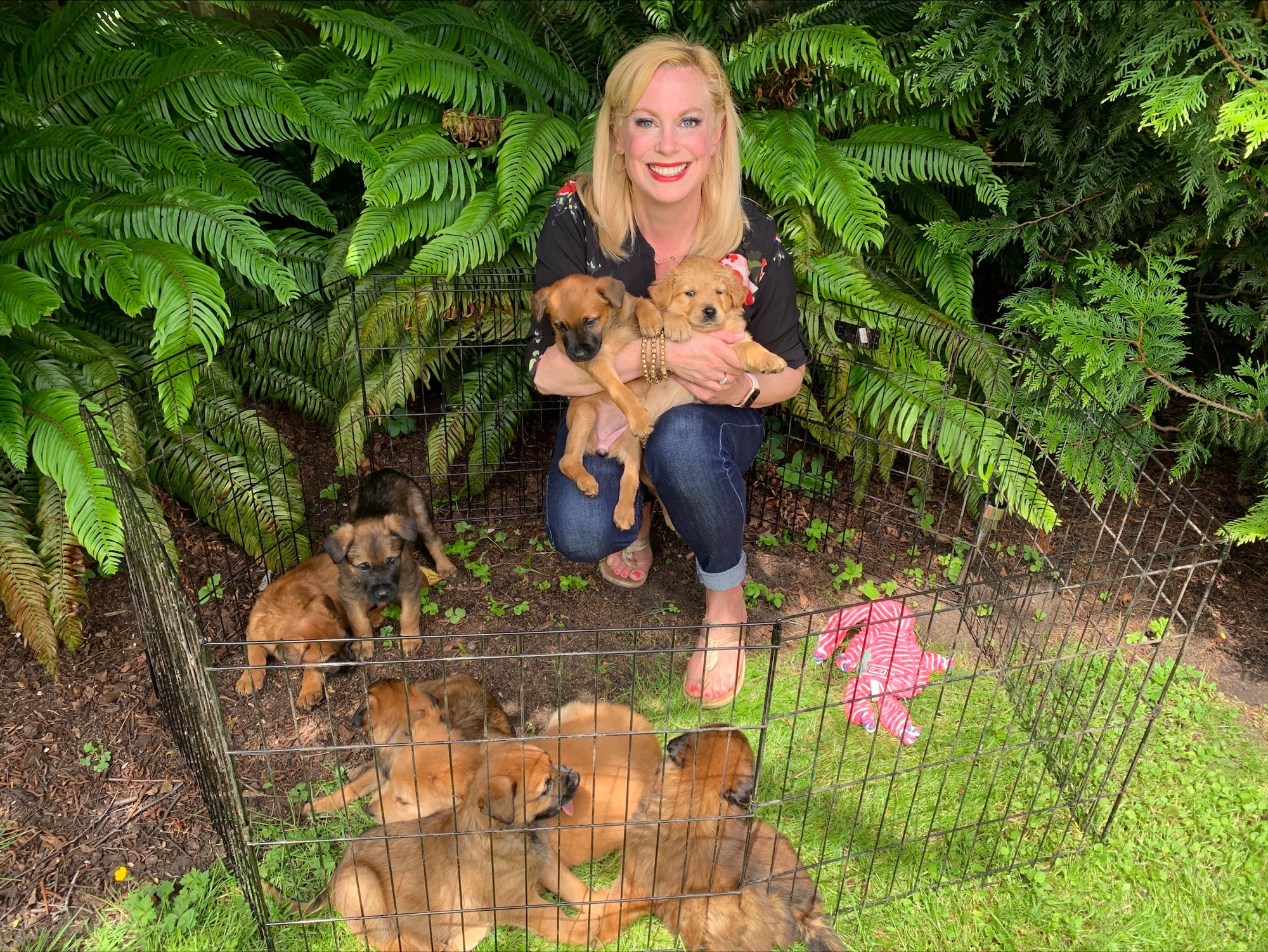 Pet CHEK: The adorable puppies of the 'Notorious Litter'
