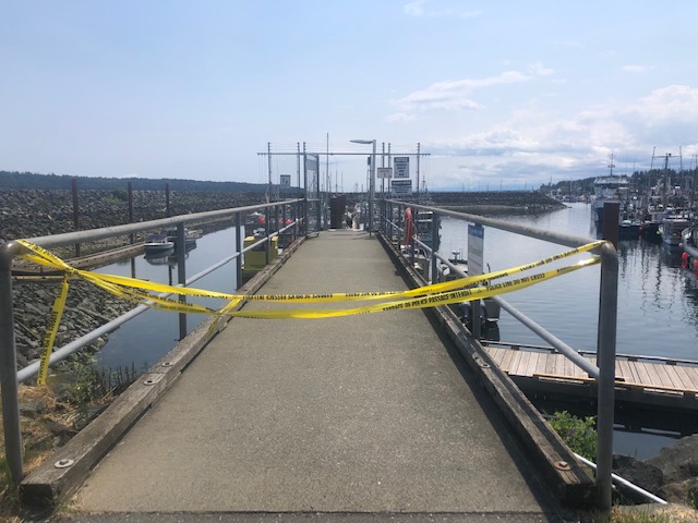 RCMP, IIO BC investigating after man shot dead at marina in Campbell River