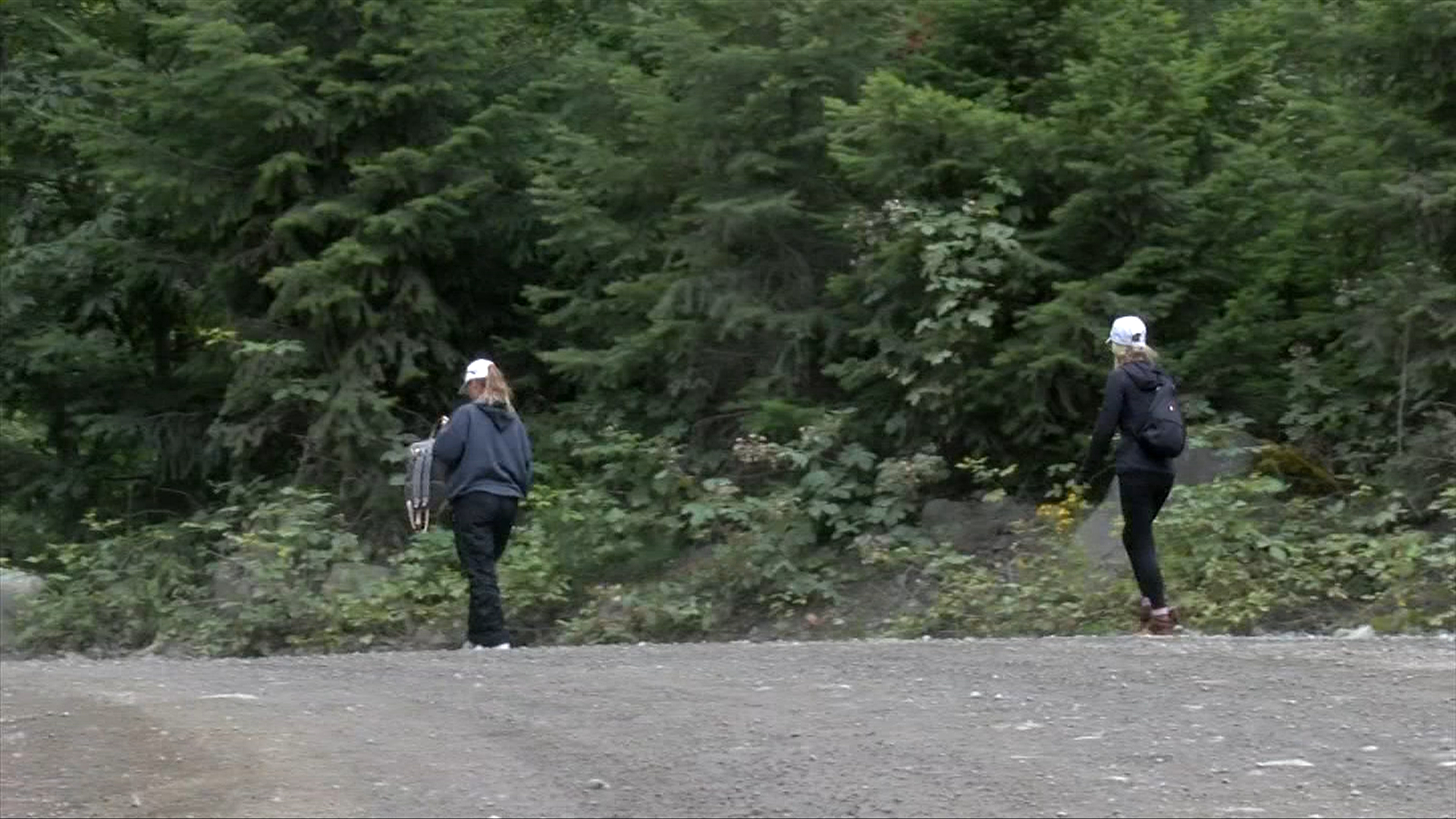 Volunteers comb backroads, lakes in search for missing Port Alberni ...