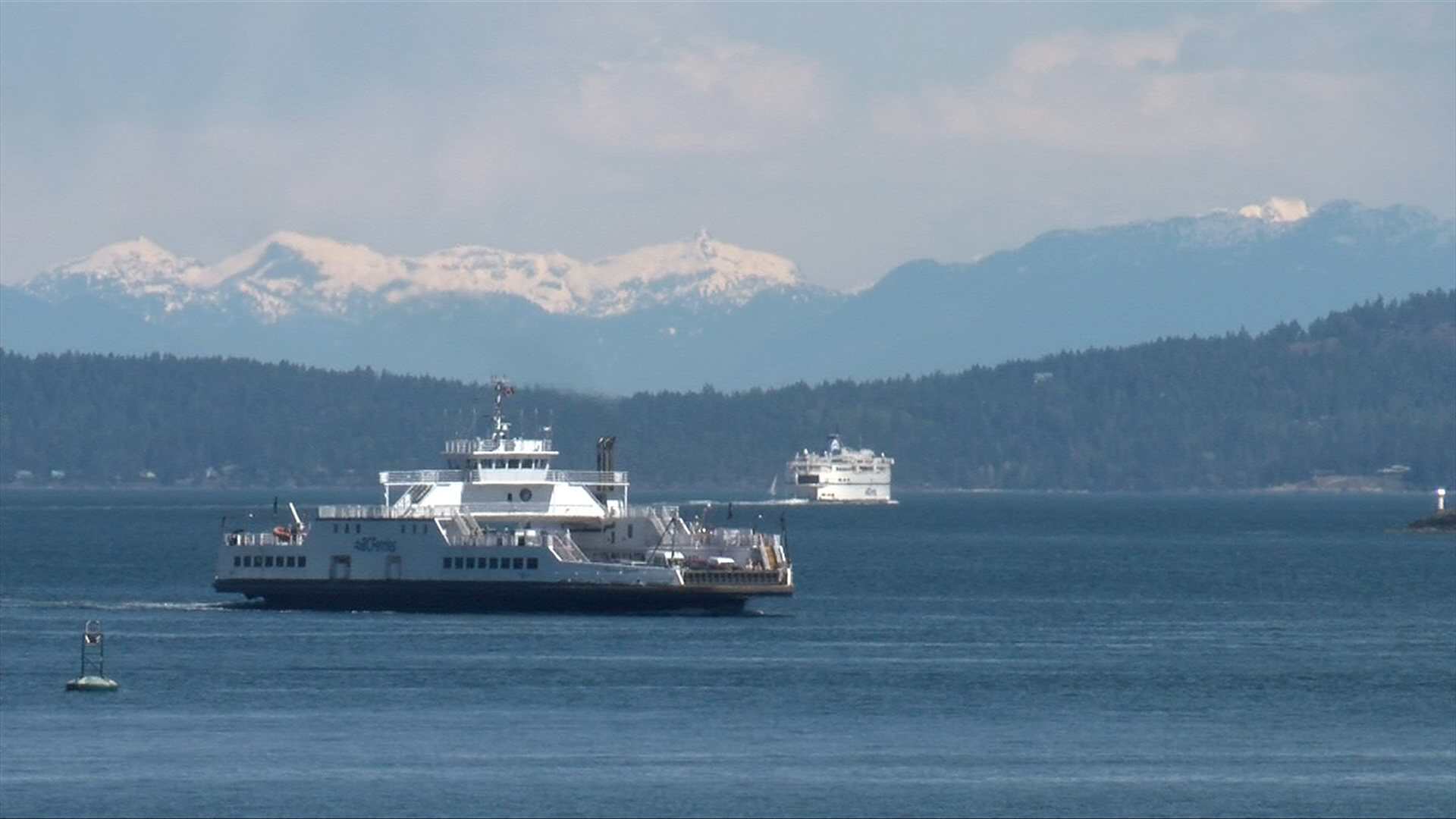BC Ferries apologizes for Salt Spring Island cancellations, says worker ...