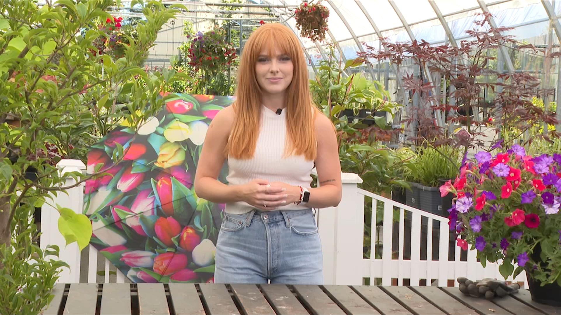 Get Up and Grow: The perfect trees for adding privacy to your yard