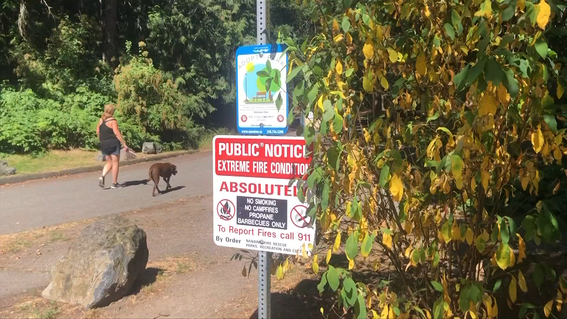 Extreme fire danger conditions develop on Vancouver Island amid heat wave