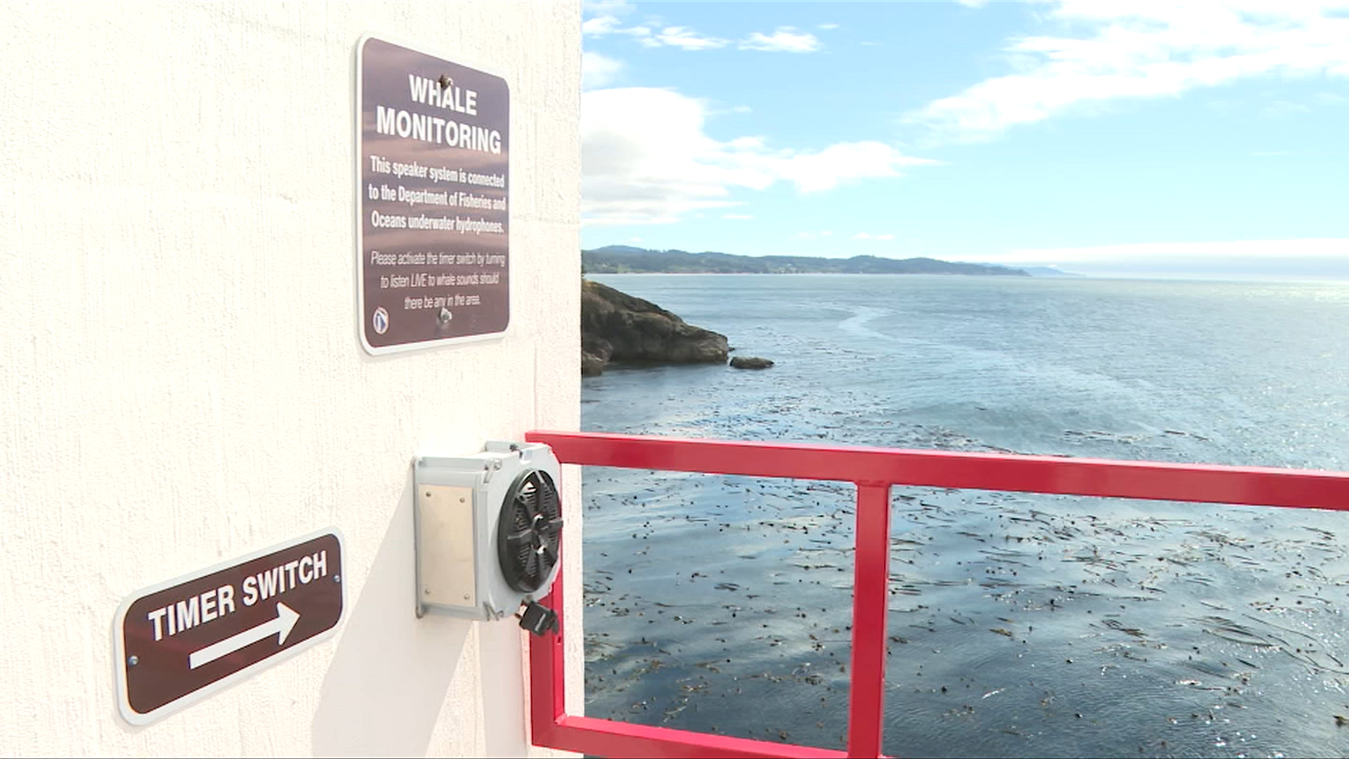 New hydrophone speaker gives tourists a unique marine life perspective
