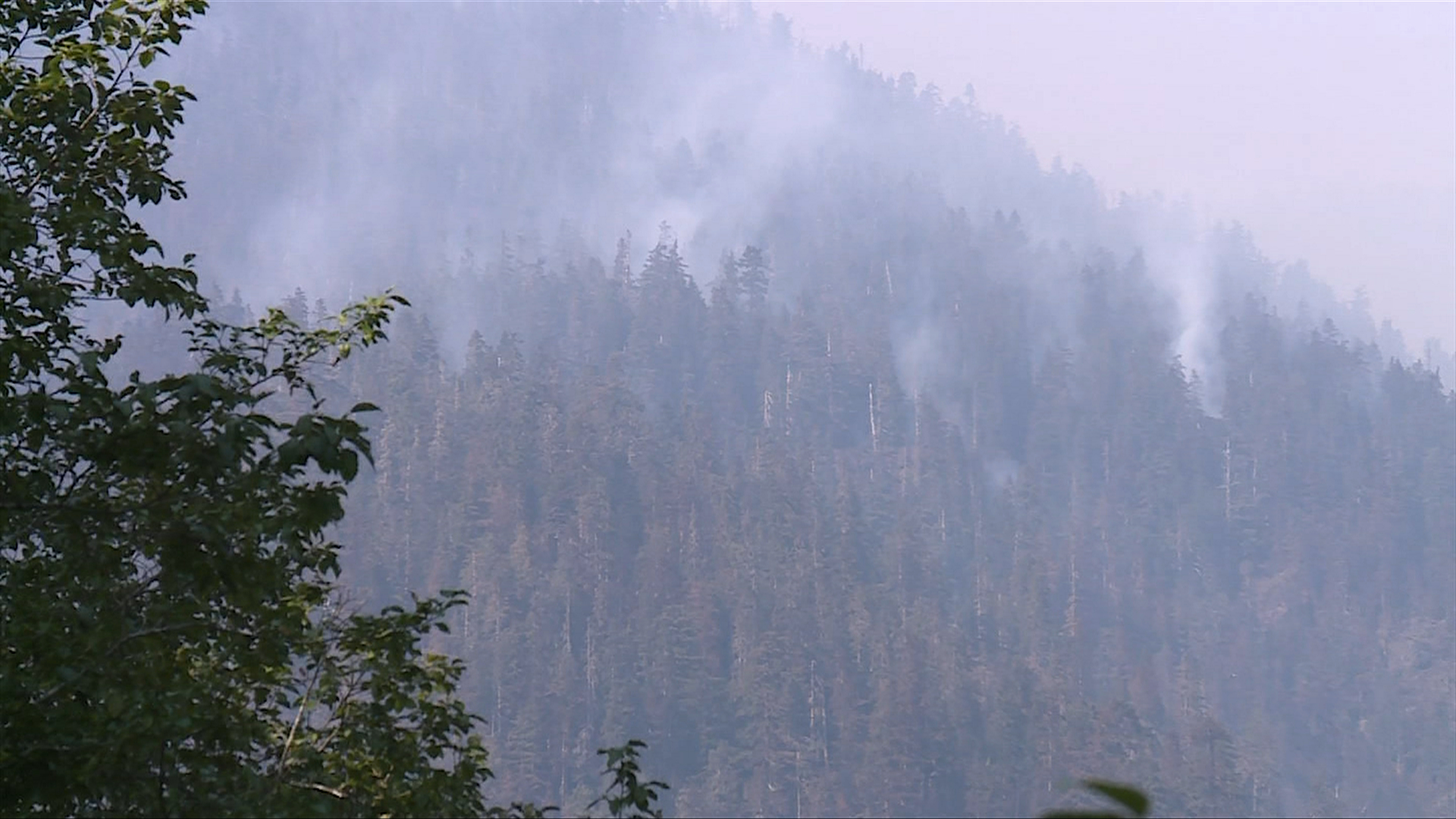 'It's very hard on the community': Forest fire burning 'out of control ...