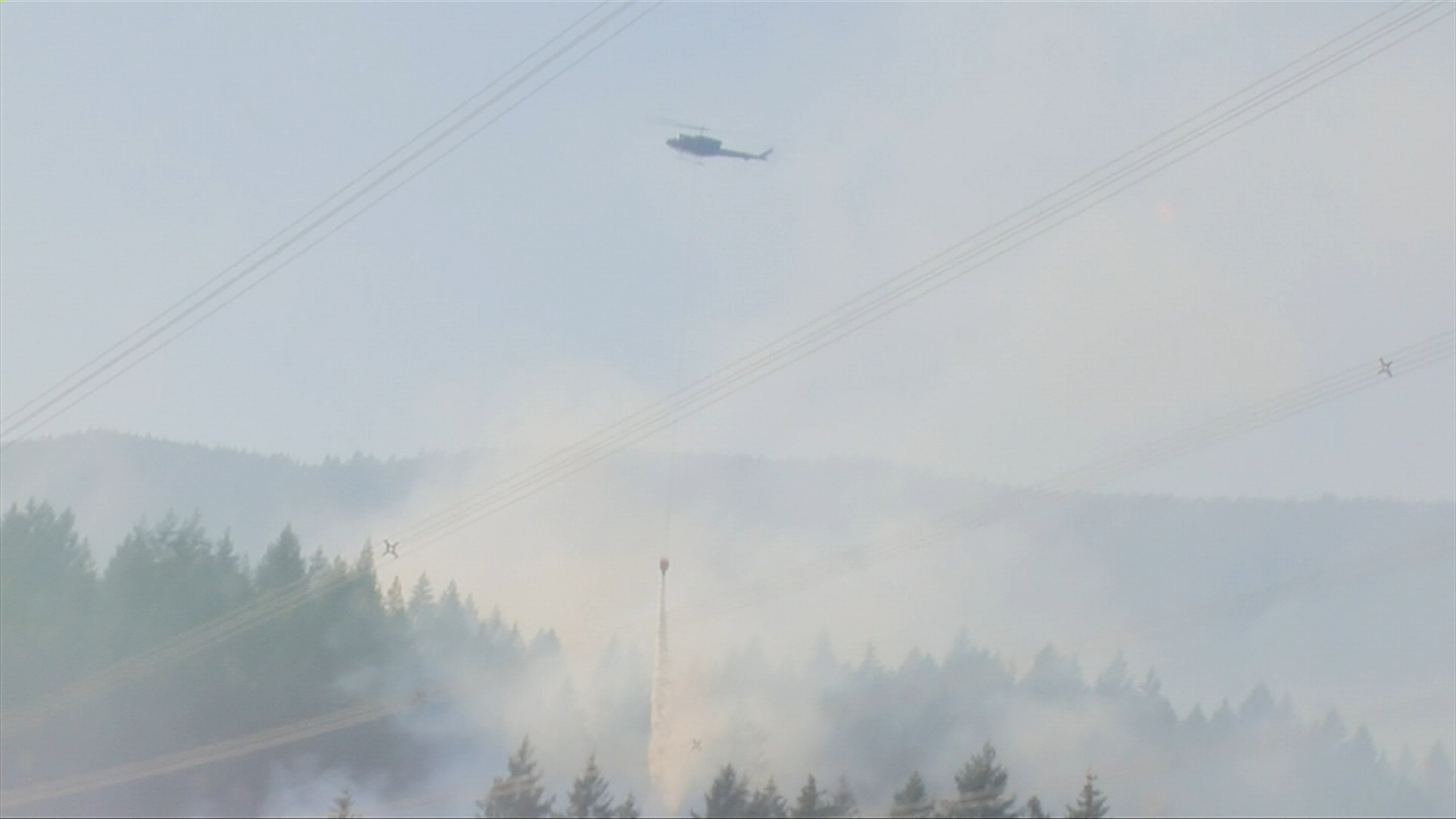 UPDATE: Cowichan Valley wildfire holding at 4.1 hectares, cause thought ...