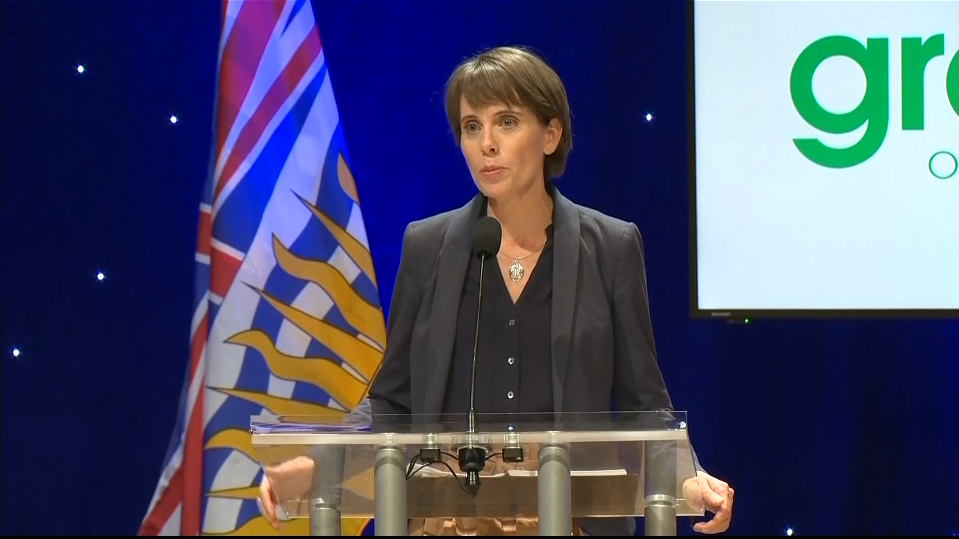 Rob Shaw: BC Greens denying meddling in BC NDP leadership race