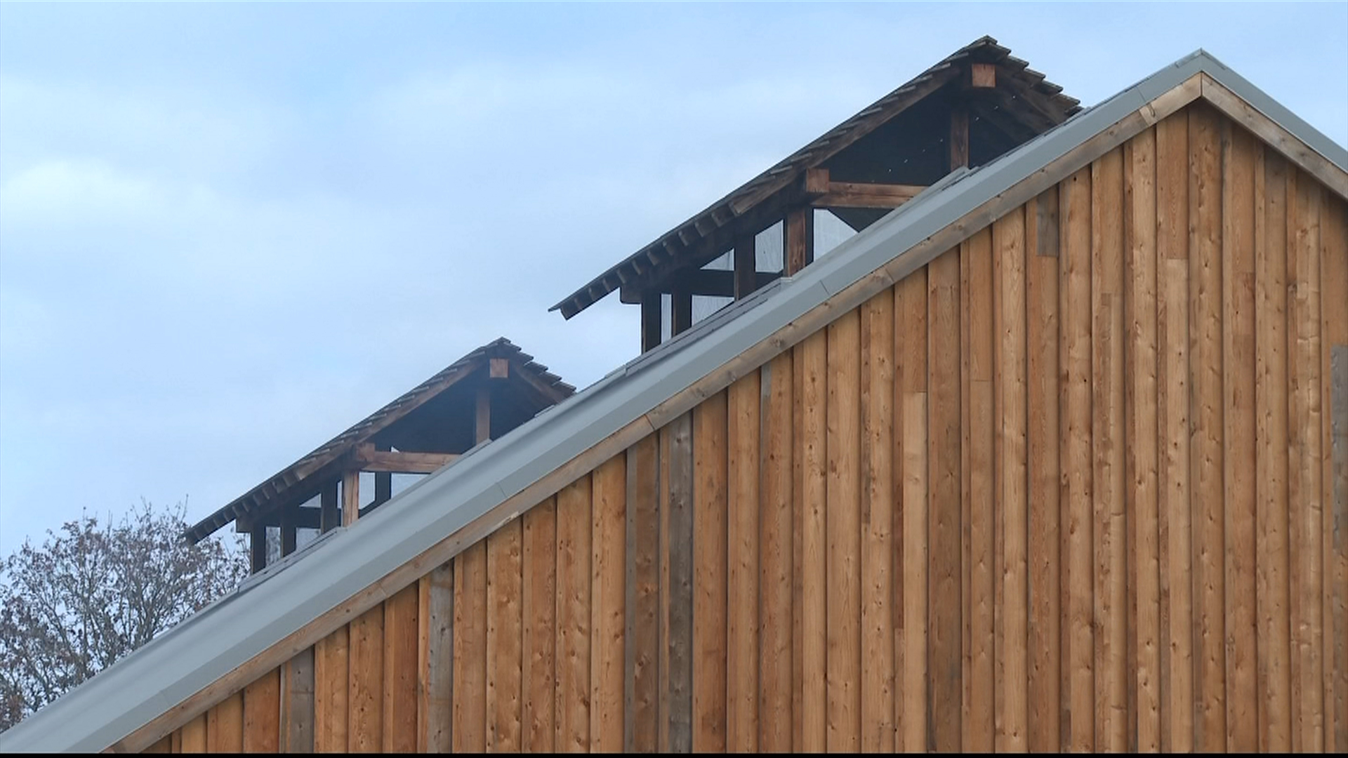 'Our home is alive again': Tsawout First Nation celebrates new Big House