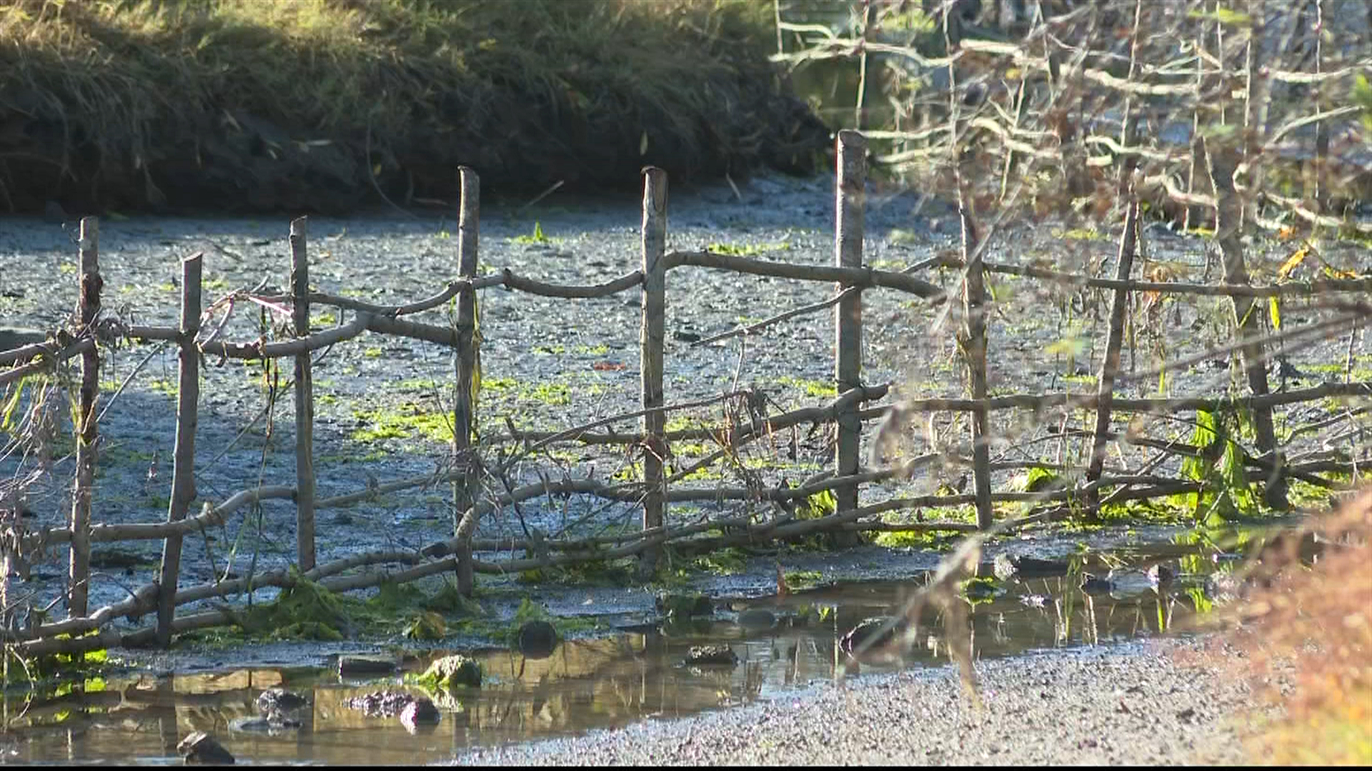 Mermaid Creek receives new bio-engineered fencing