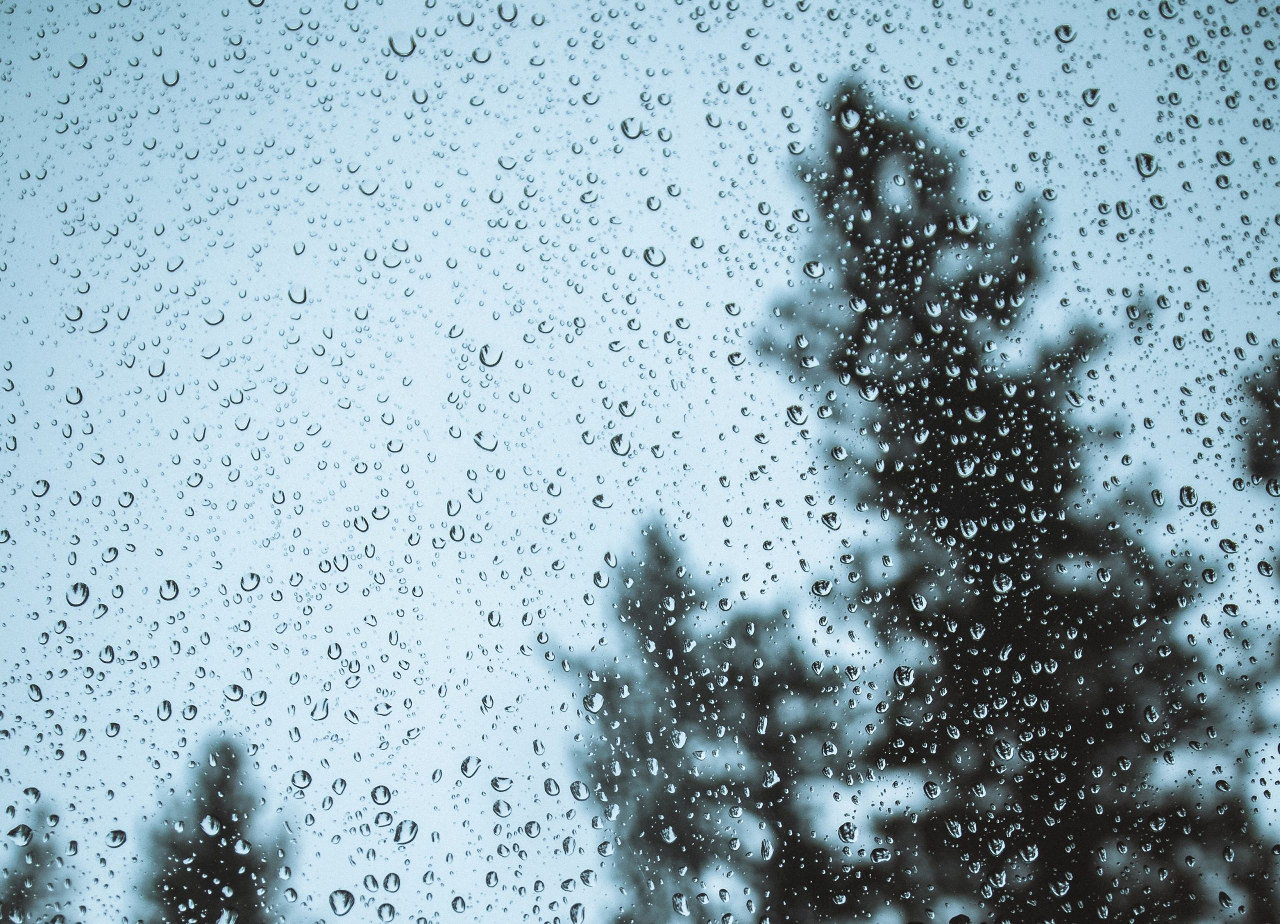 Atmospheric river to bring 'heavier rain' for parts of the Island, but ...