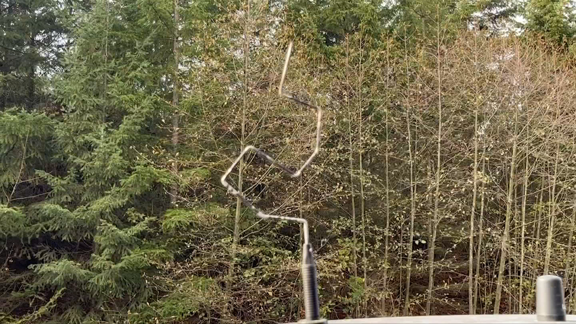 'Grandma of the fleet': Aging RCMP ghost car catches surprised ...