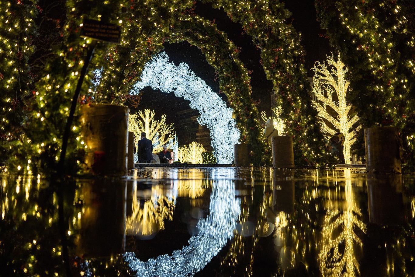 Lights of Wonder to illuminate Centennial Square this December