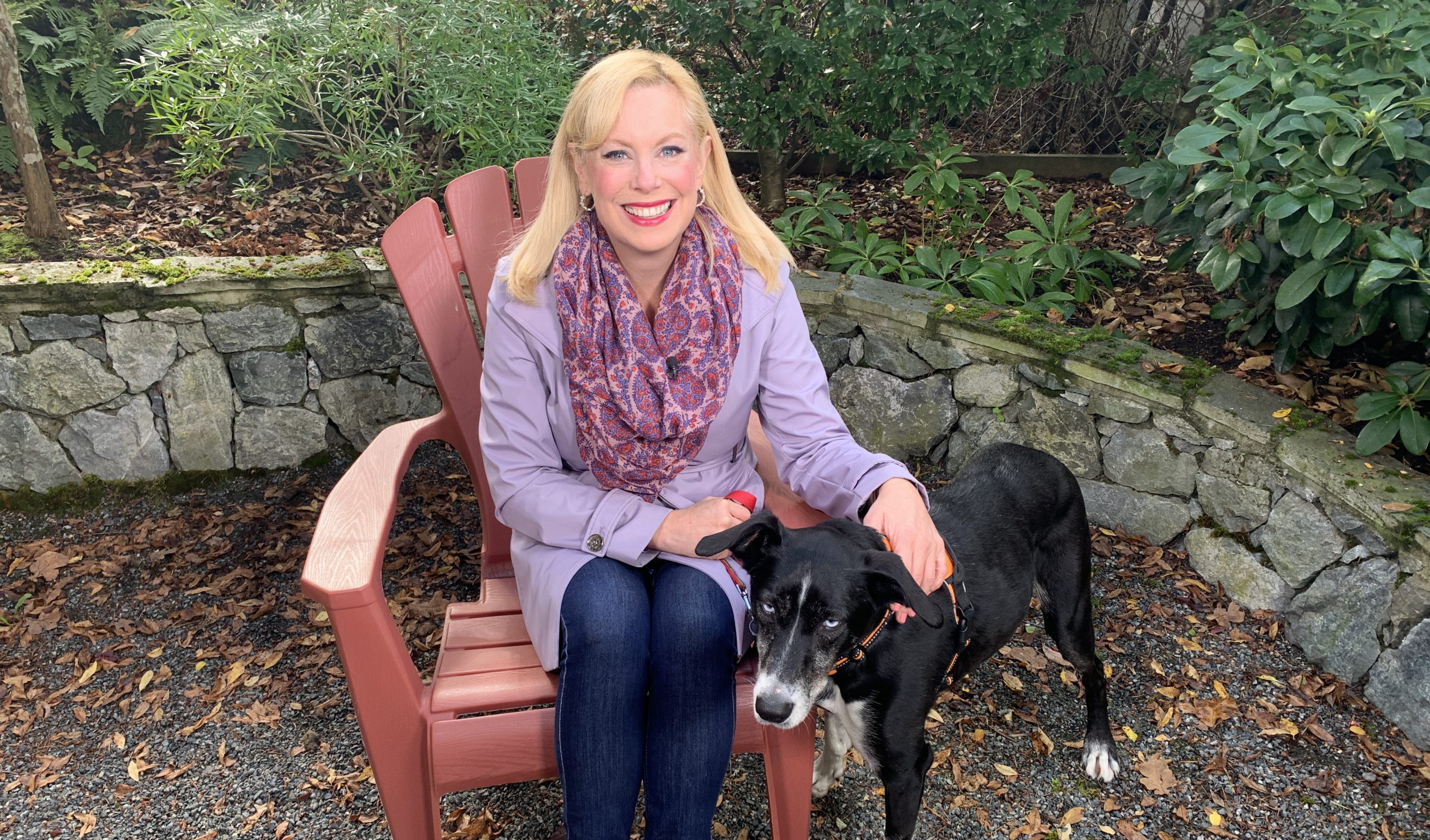 Pet CHEK: Retired sled dog Serabe needs a loving home