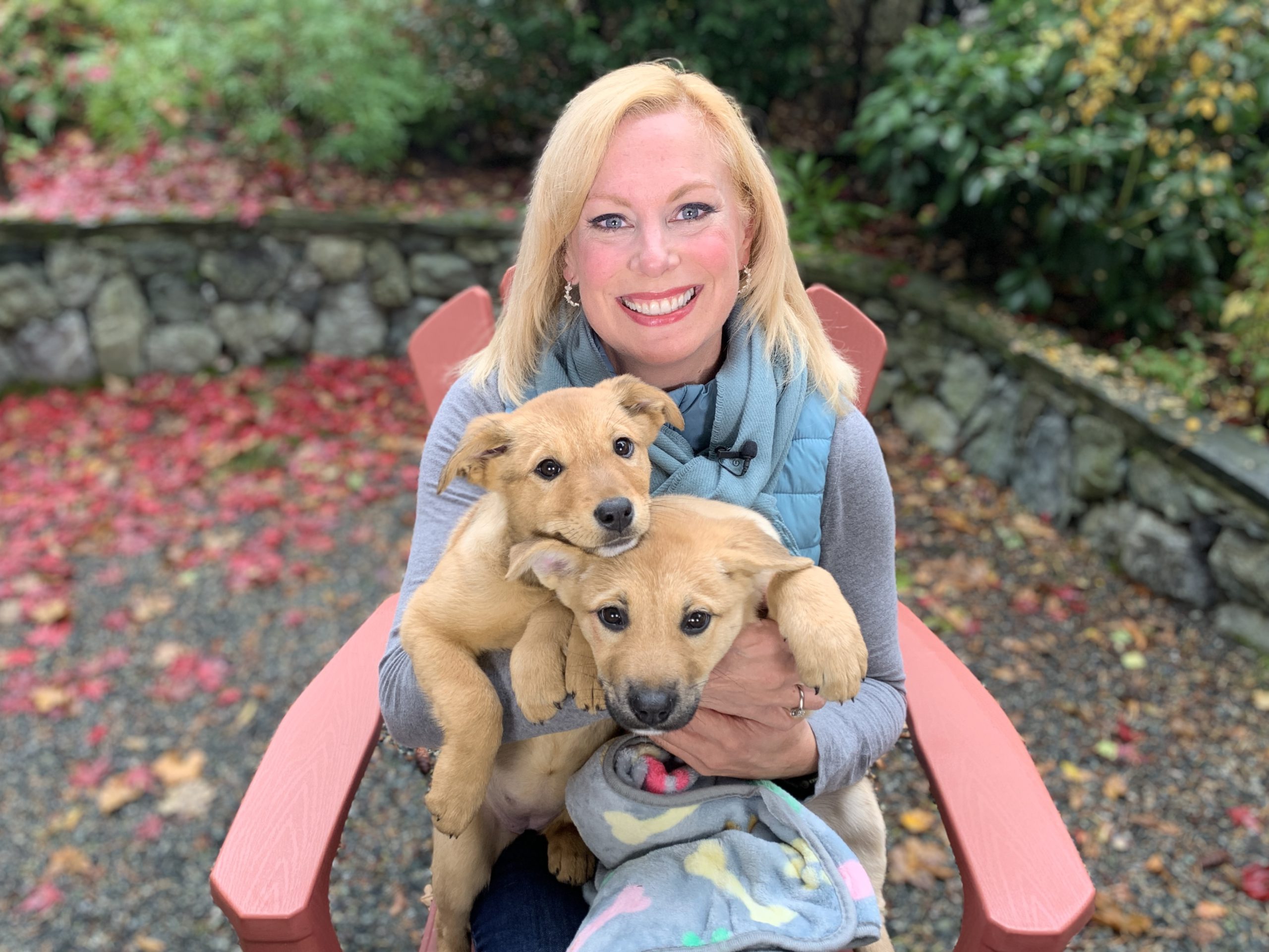 Pet CHEK: Puppies Jo & Meg from the 'Little Women' litter